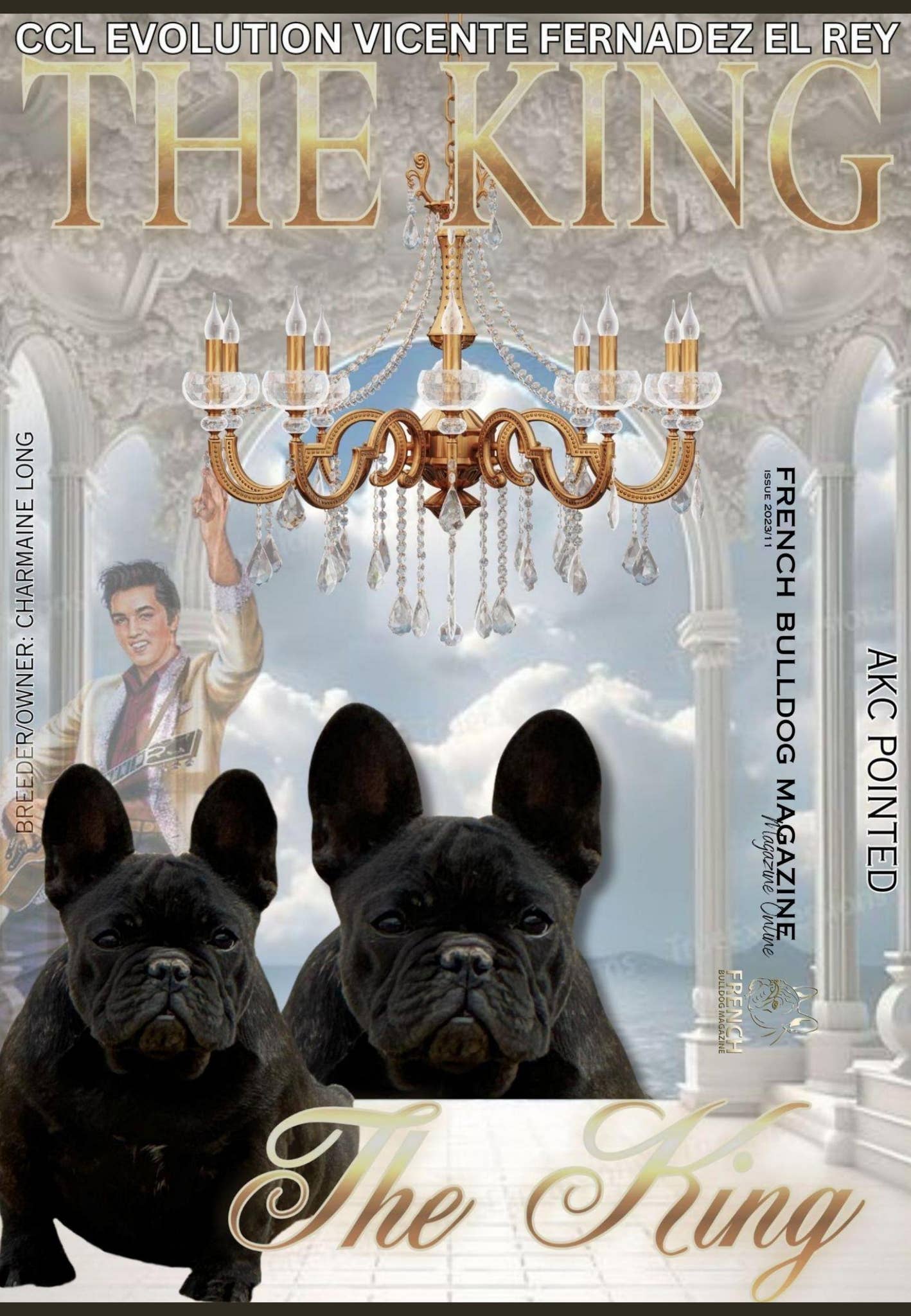 French Bulldog Magazine 11/2023 by Theo Koekemoer - Issuu