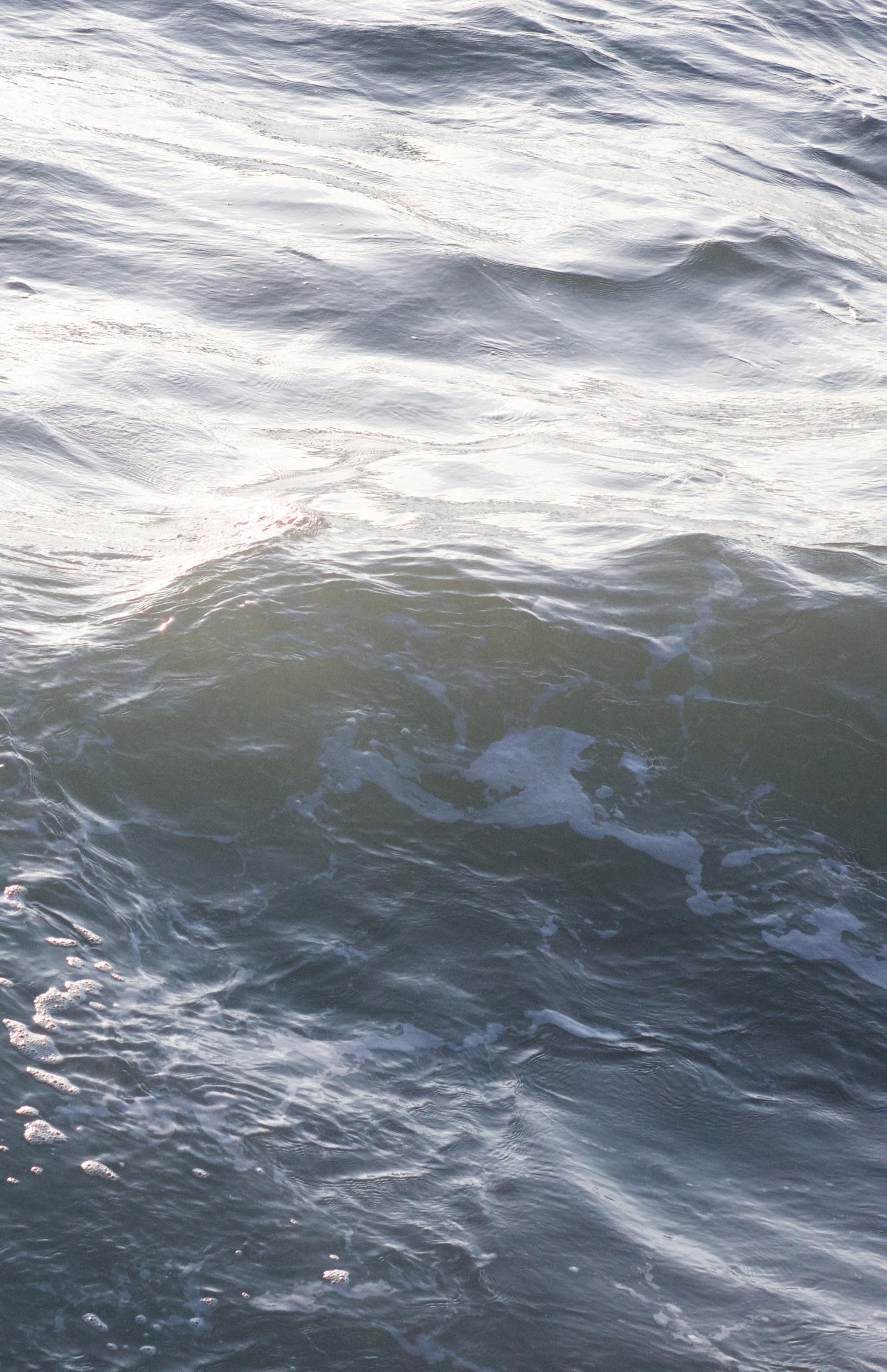 EmilyGalindo_Digitalaccess_NiFa23 by Emily Galindo - Issuu