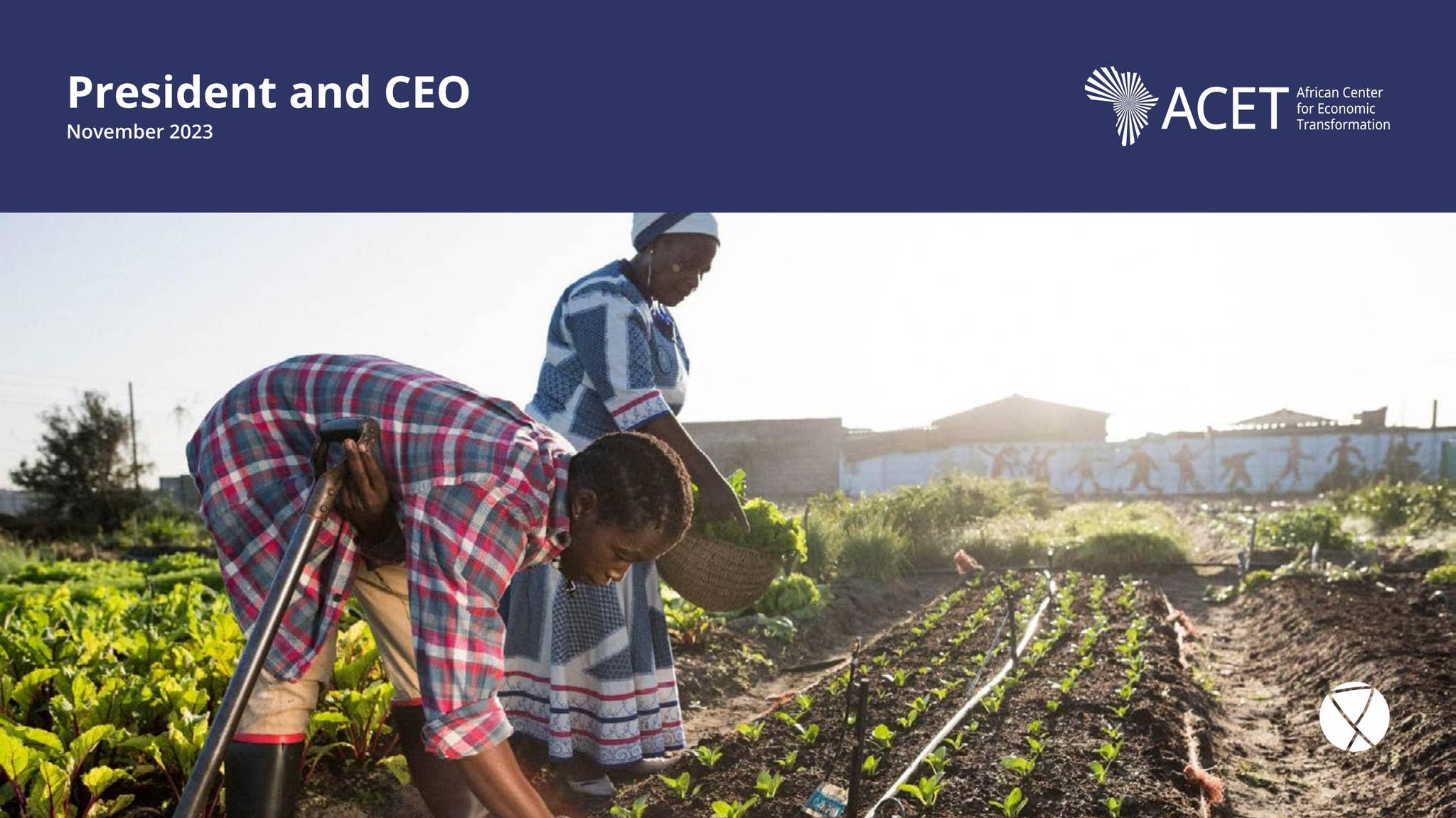 ACET - President and CEO by Oxford HR - Issuu