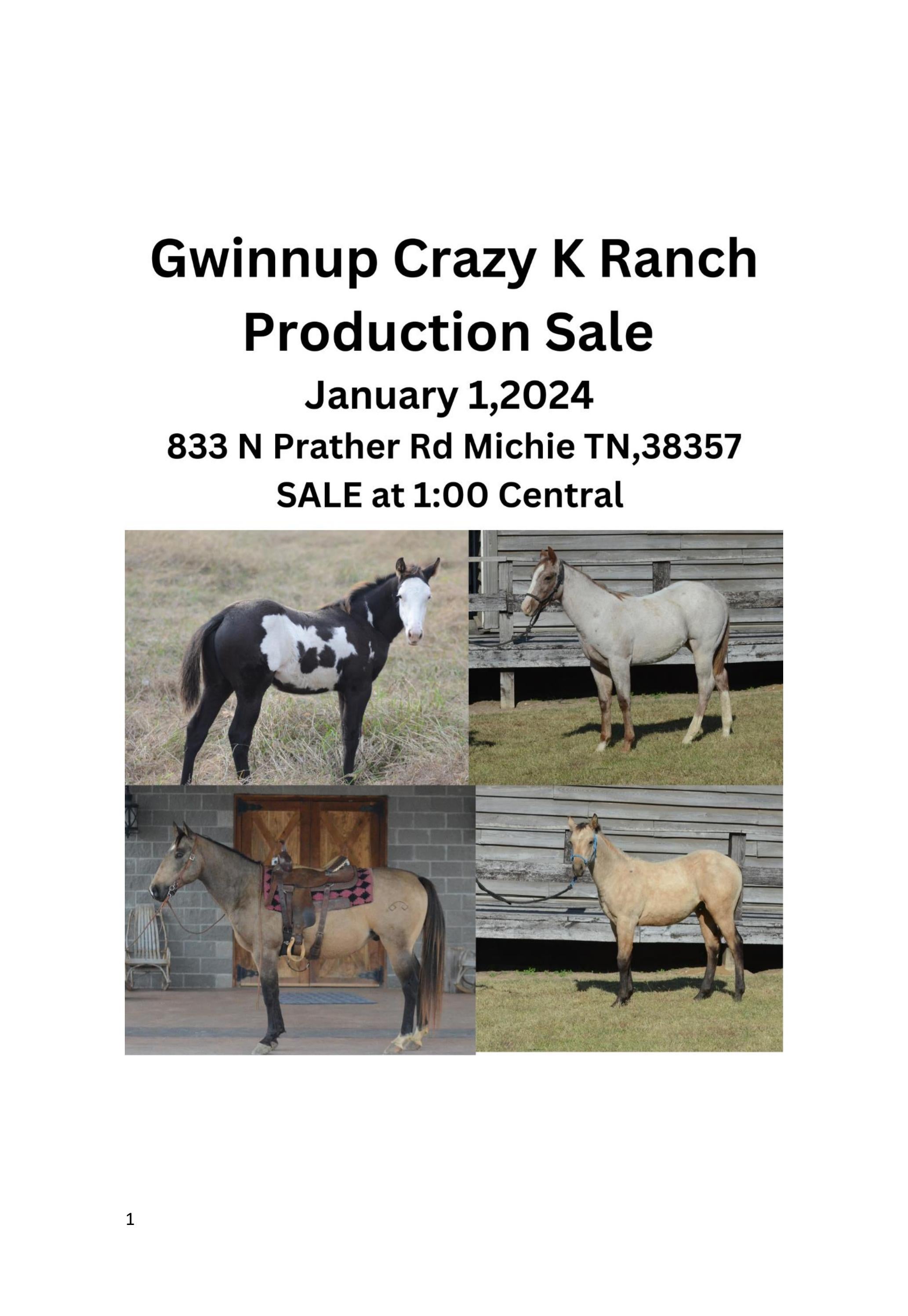 Gwinnup Crazy K Ranch Horse Sale by Gwinnupckr - Issuu