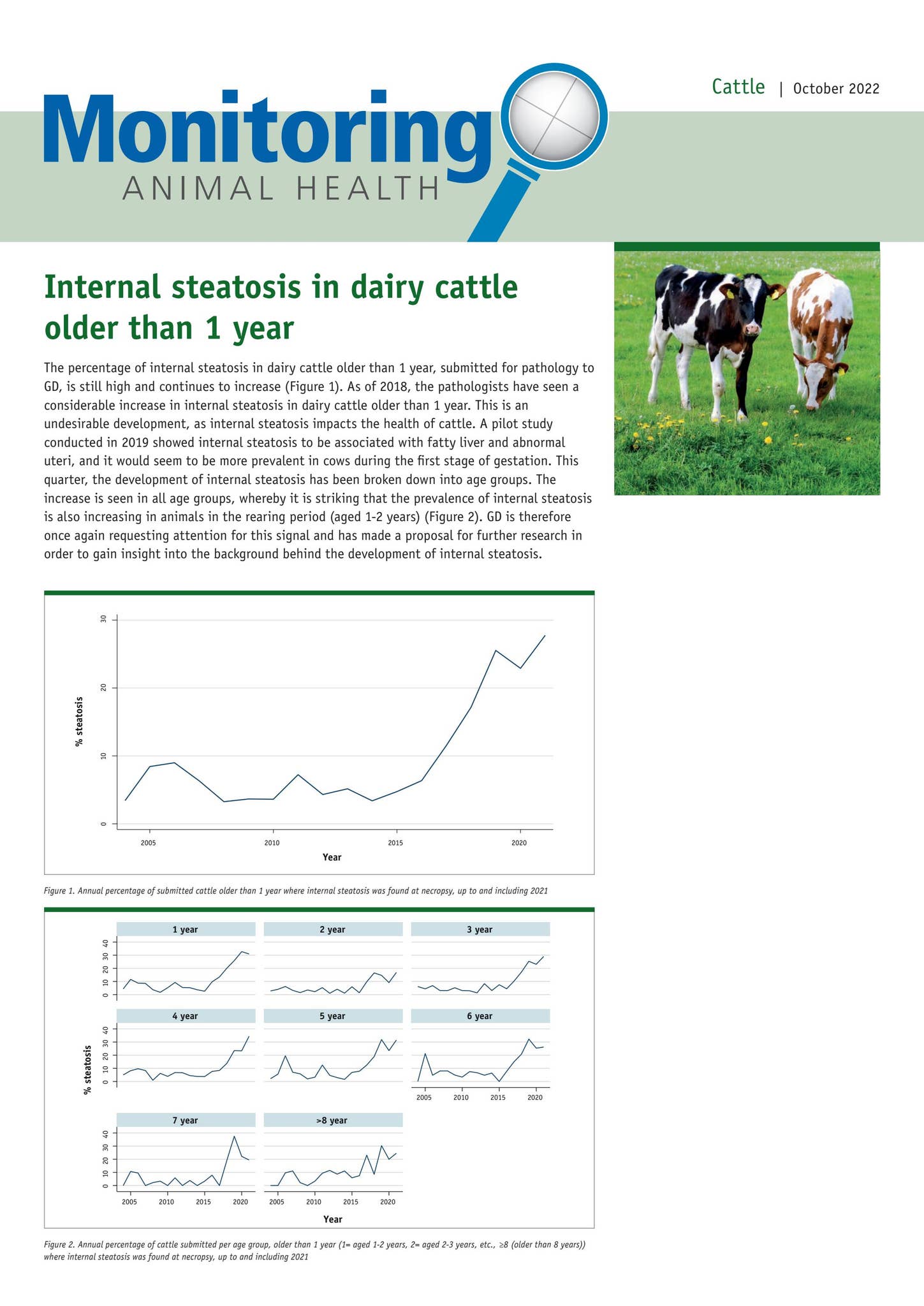 Highlights report cattle-October 2022 by Royal GD - Issuu