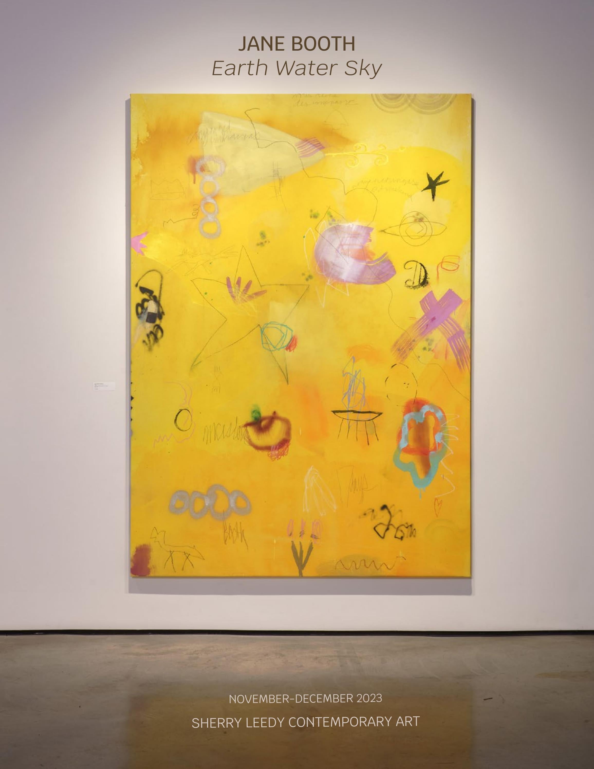 Jane Booth: Earth Water Sky by Sherry Leedy Contemporary Art - Issuu