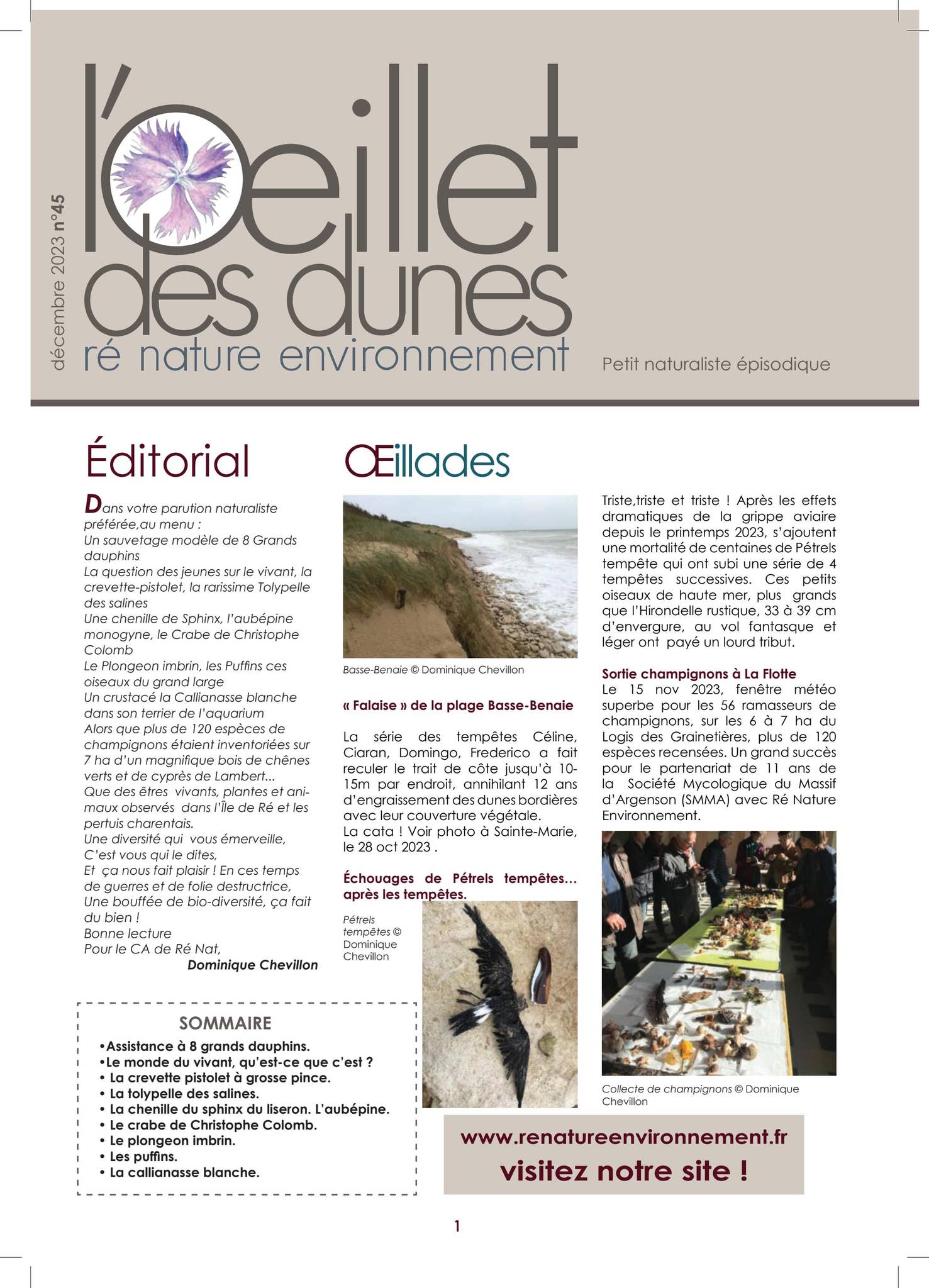 ODD 45 by RHEA MARKETING - Issuu