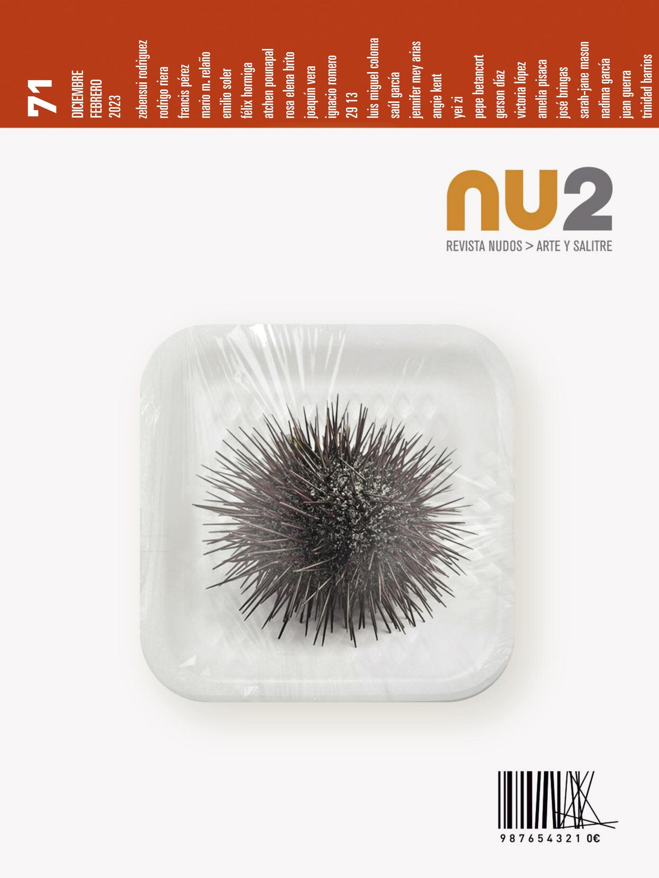 REVISTA NU2 Nº71 by fernandobarbarin.com - Issuu