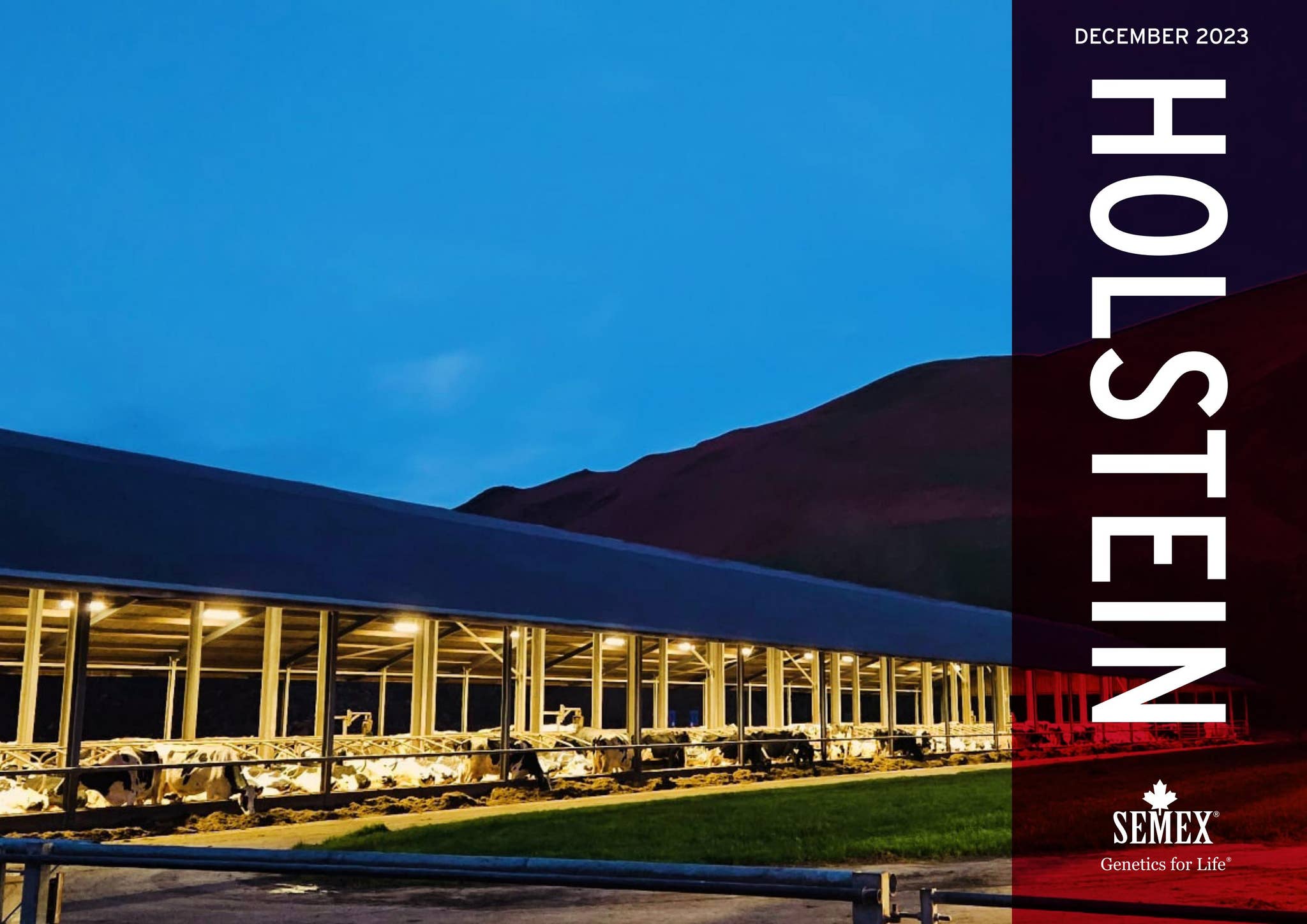 Semex UK - Holstein Sire Directory December 2023 by Semex - Issuu