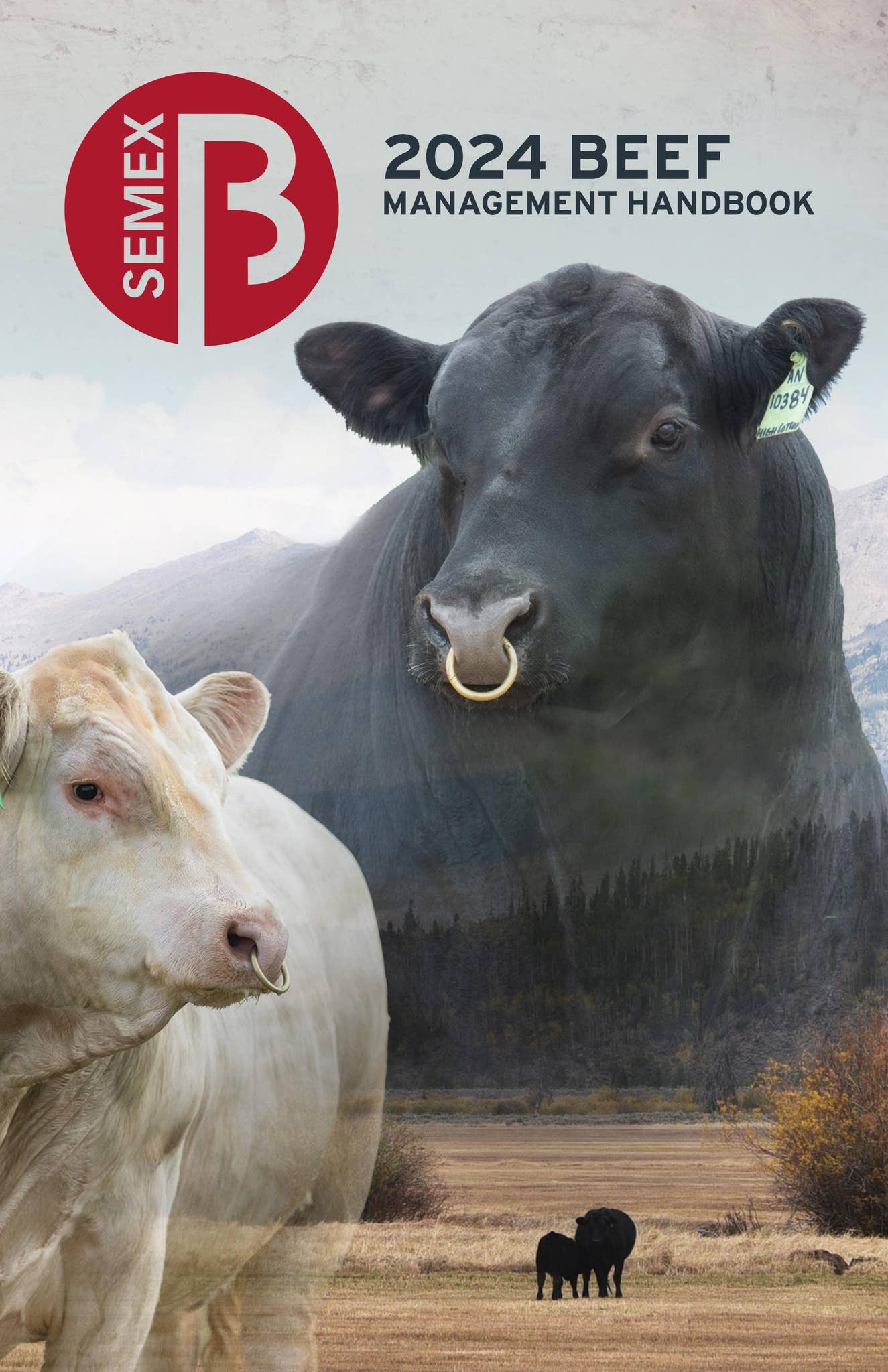 Semex Beef - 2024 Management Handbook - USA by Semex - Issuu