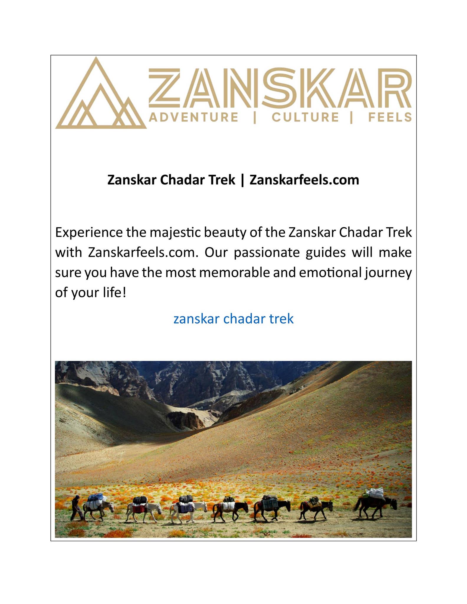 Zanskar Chadar Trek | Zanskarfeels.com by Zanskar Feels - Issuu