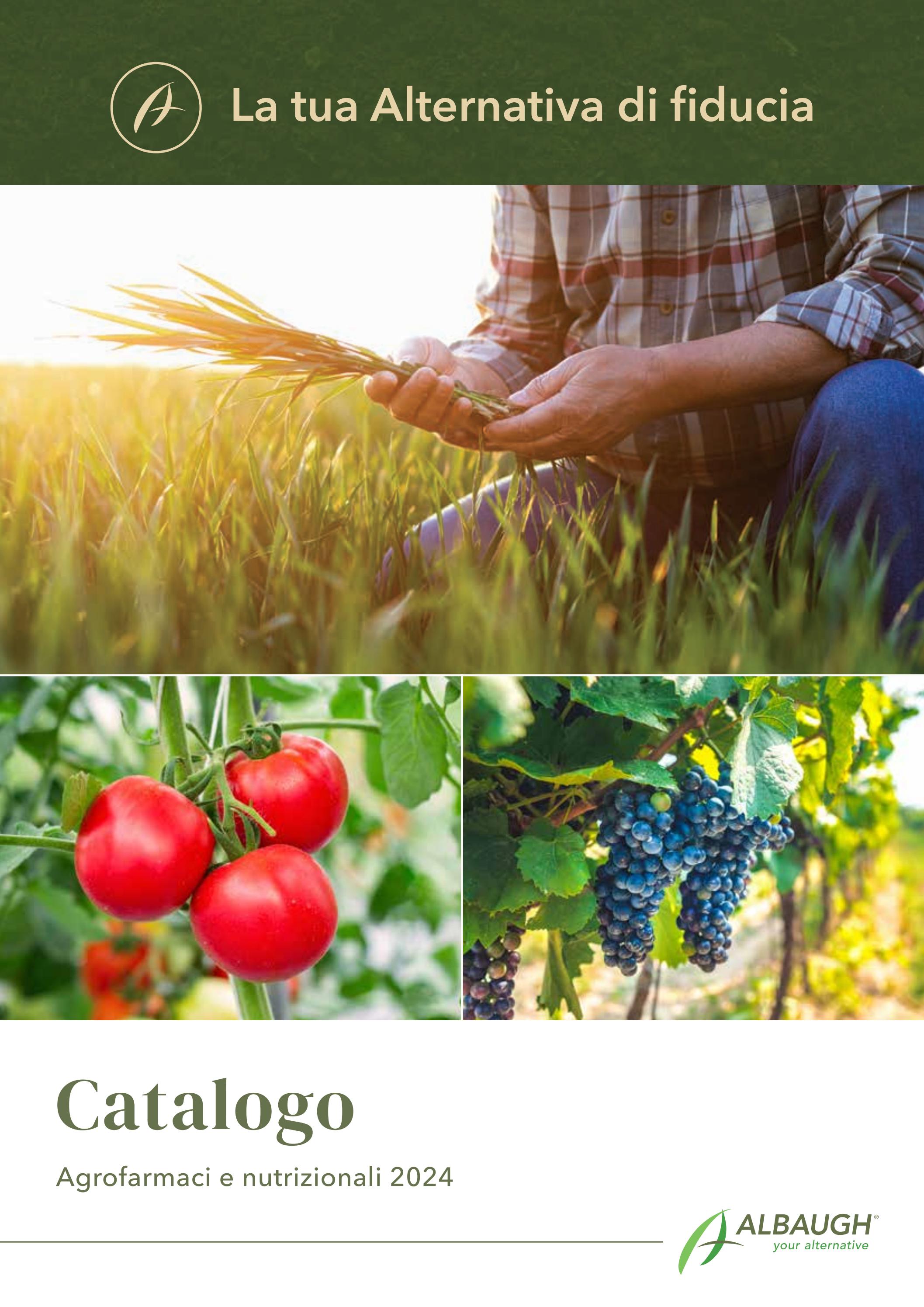 Catalogo Agrofarmaci Chimiberg 2016 By Image Line Issuu