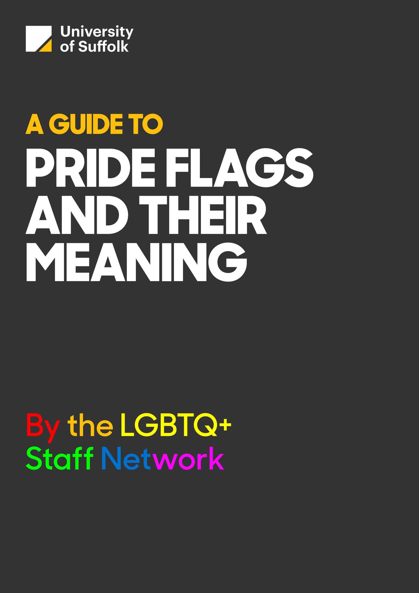A guide to Pride flags and their meaning by University of Suffolk - Issuu
