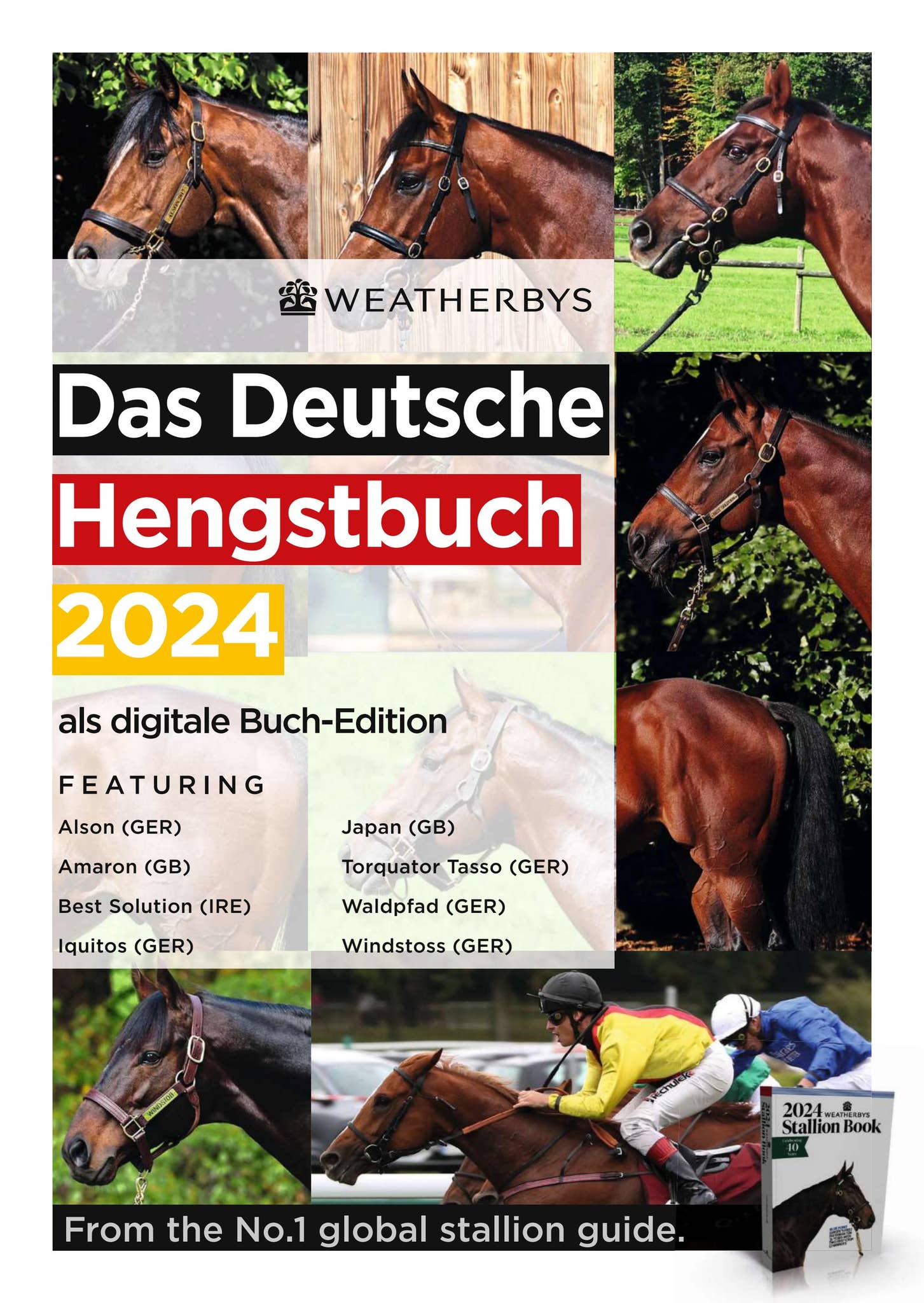 Weatherbys Stallion Book 2024 - German Edition by Weatherbys - Issuu