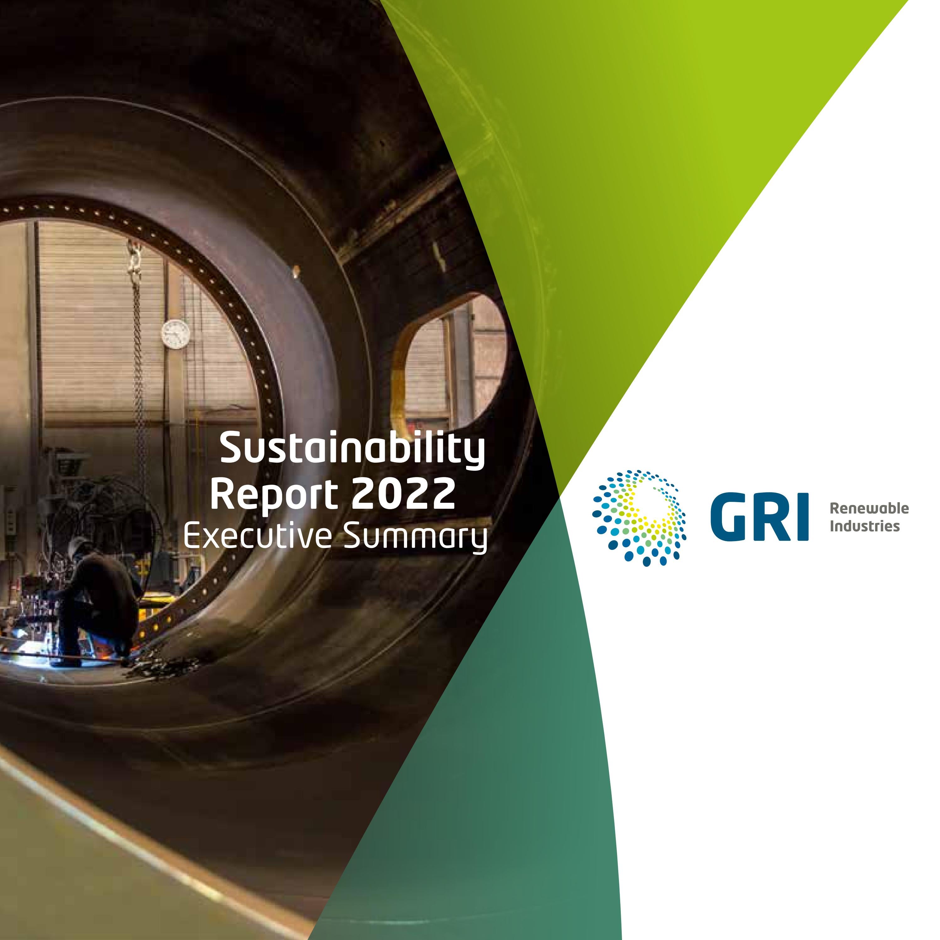 GRI - Executive Summary 2022 by Gonvarri Industries - Issuu