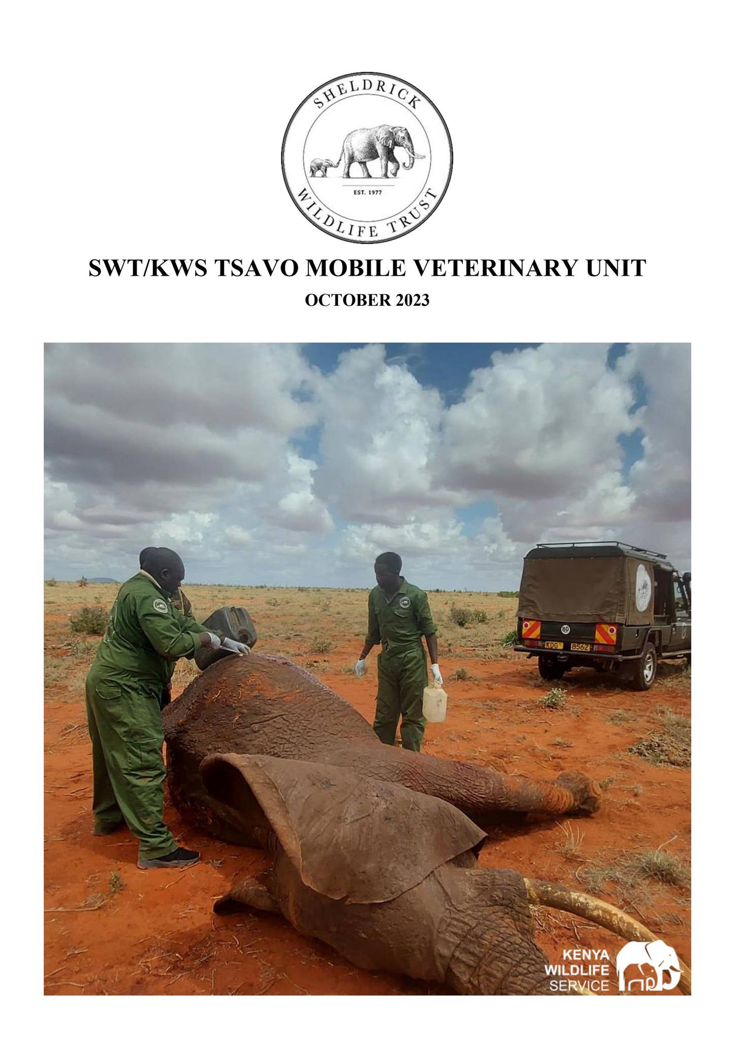 SWT/KWS Tsavo Mobile Veterinary Report for October 2023 by Sheldrick ...