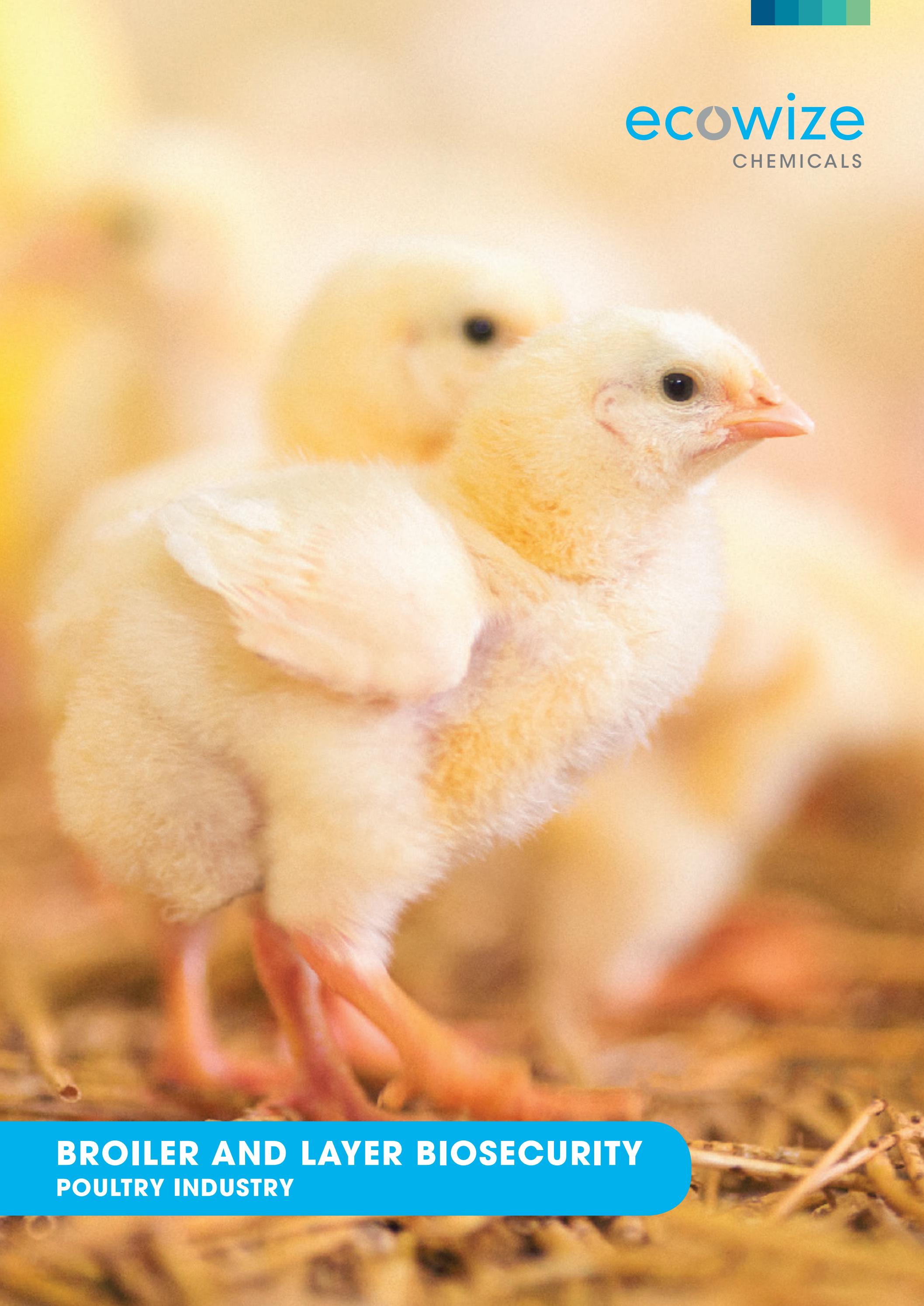 Broiler and Layer Biosecurity - Poultry Industry by EcowizeSA - Issuu