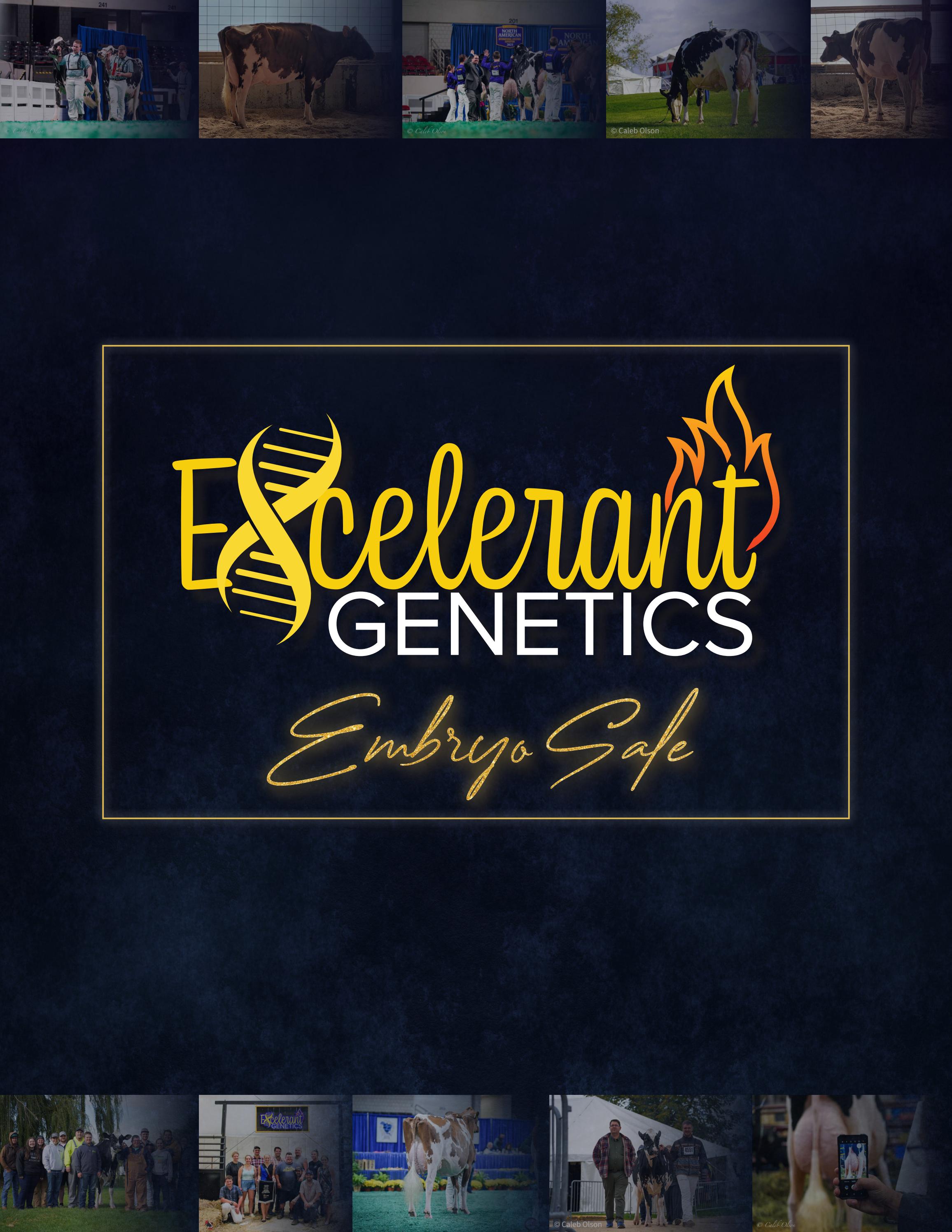 Excellence & Excelerant Embryo Sale by katelynm.poitras - Issuu