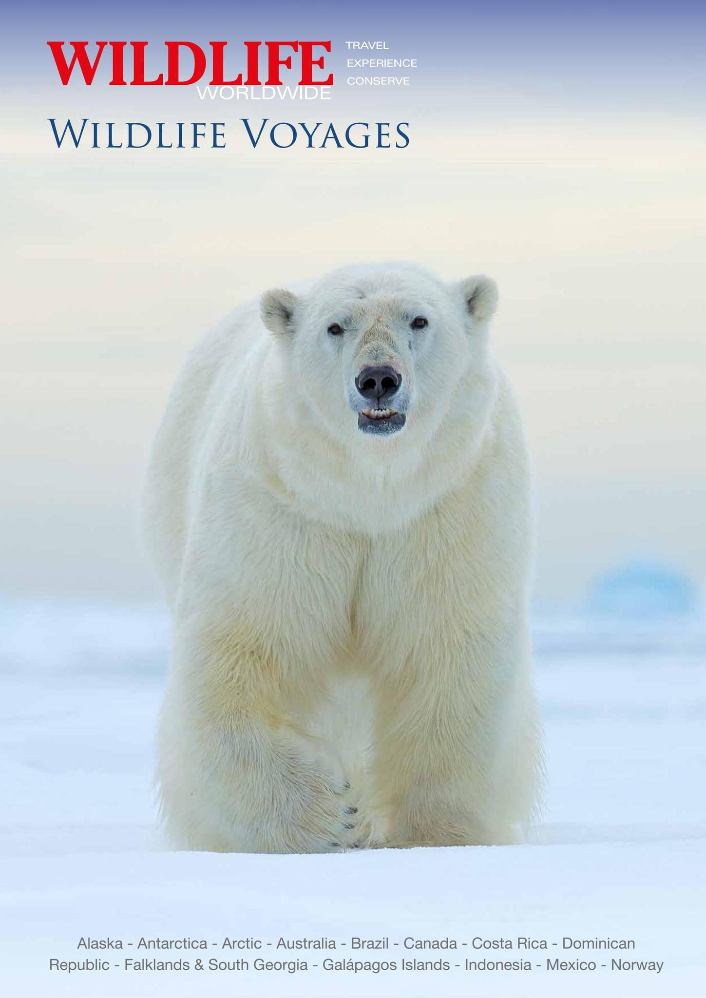 Wildlife Worldwide Voyages Brochure 2024 by The Natural Travel ...