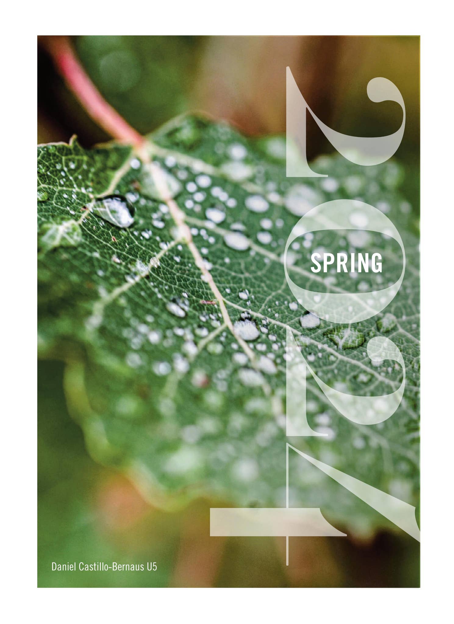 Bede's Senior School Spring 2024 Calendar by bedesschoolsussex - Issuu