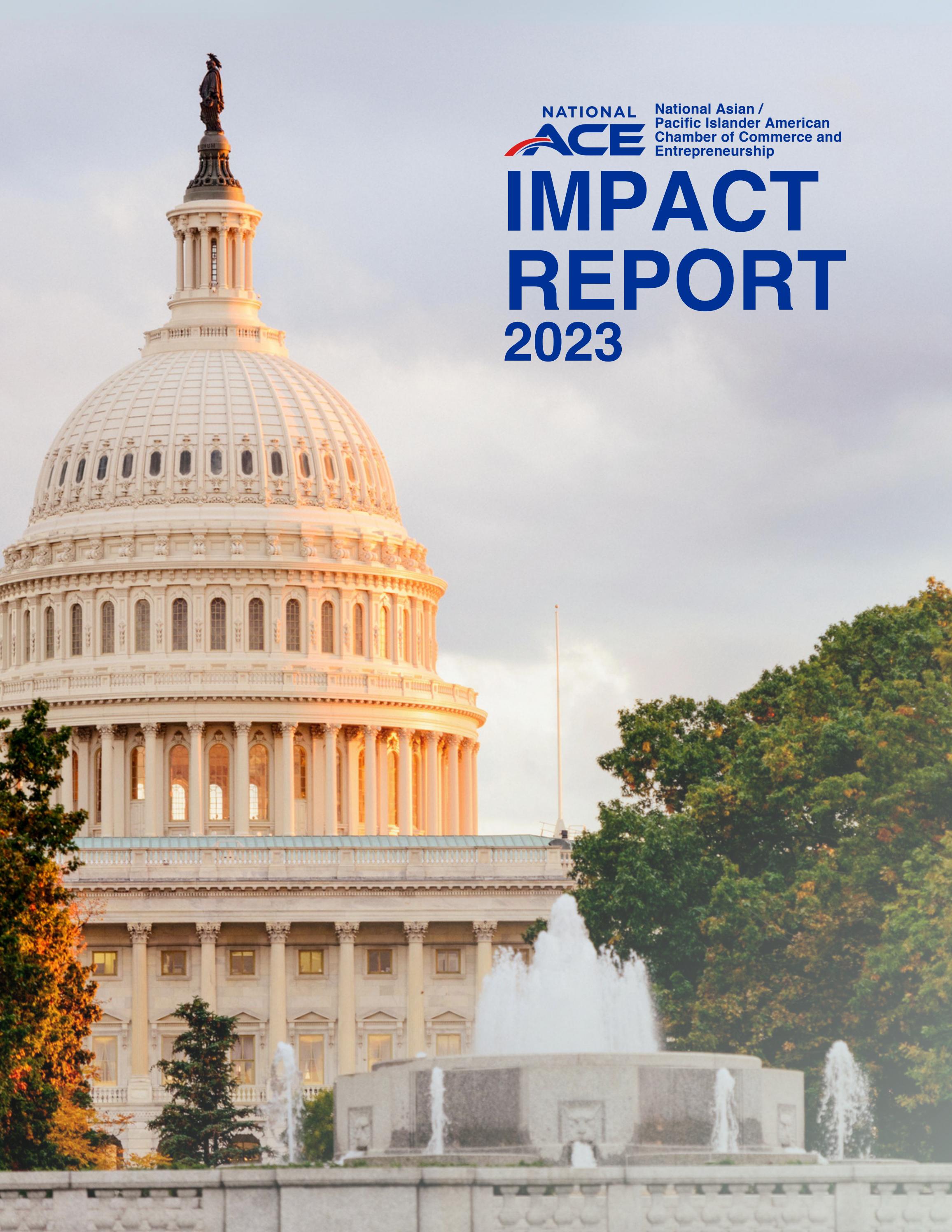 2023 National ACE Impact Report by nationalace - Issuu