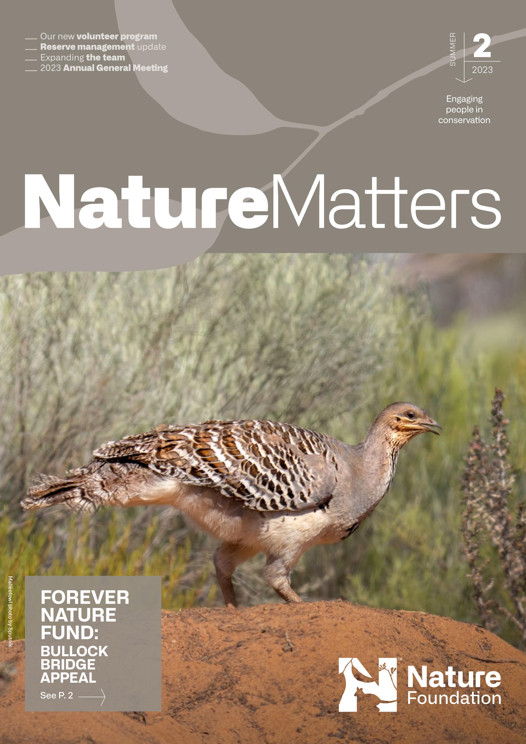 Nature Matters, Issue 2 - Summer 2023 by NatureFoundation - Issuu