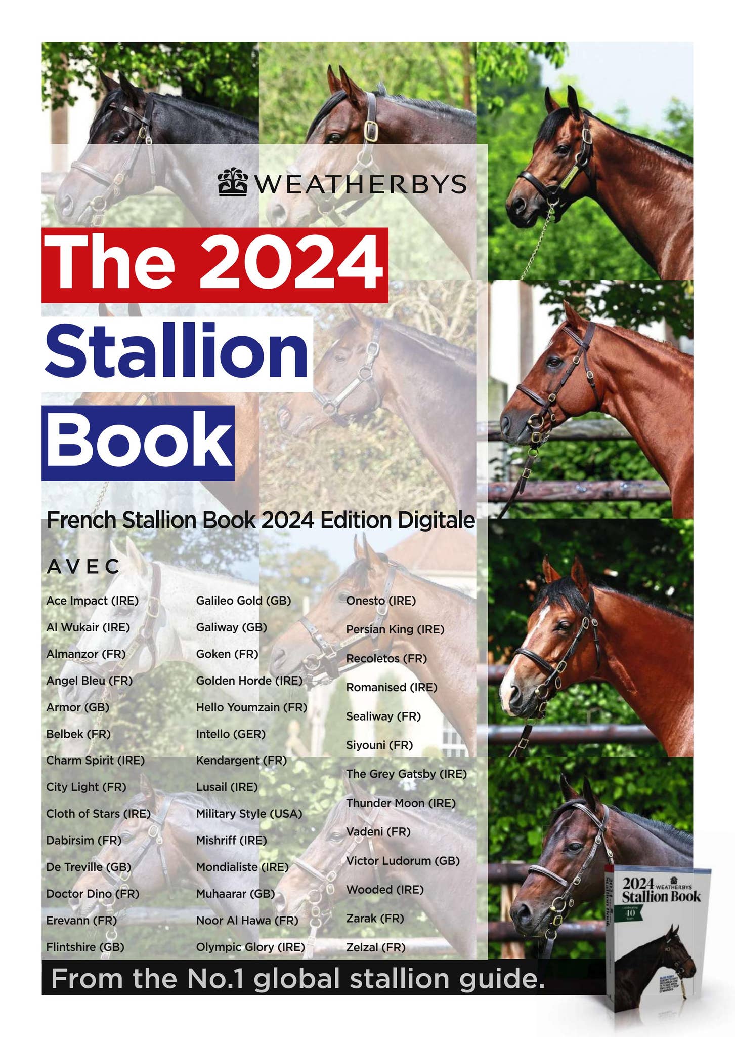 Weatherbys Stallion Book 2024 - French Edition by Weatherbys - Issuu