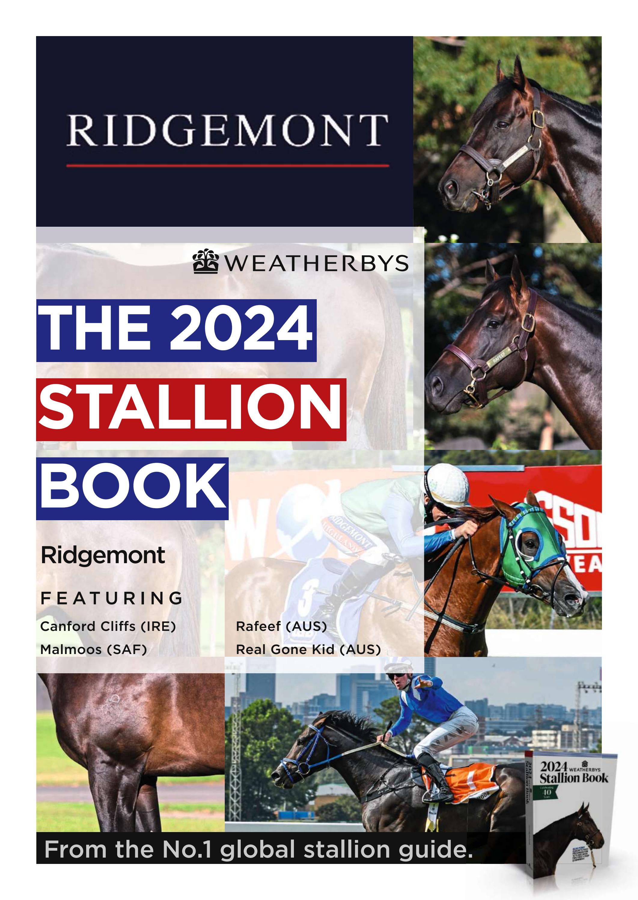 Weatherbys Stallion Book 2024 - Ridgemont Edition by Weatherbys - Issuu