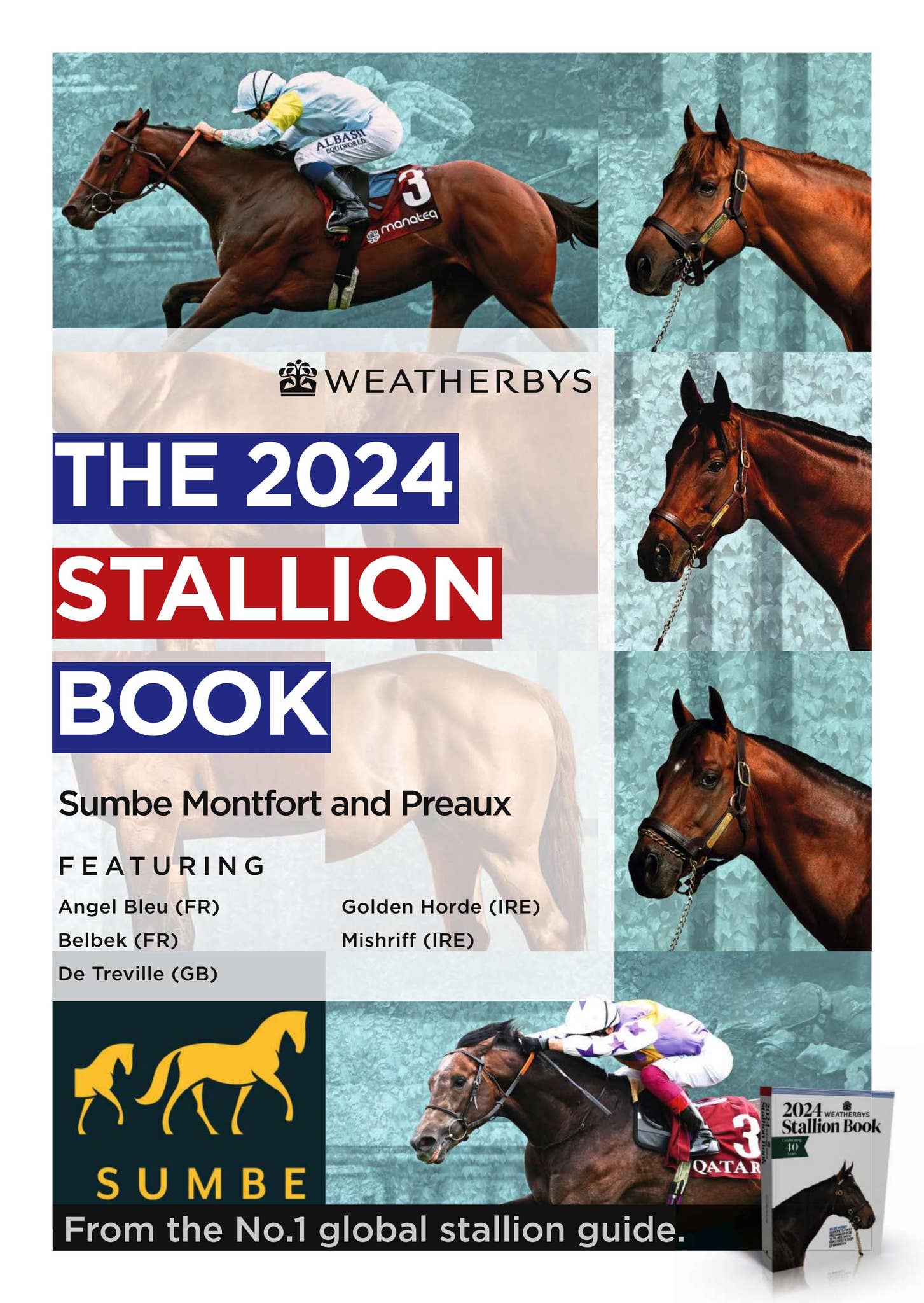 Weatherbys Stallion Book 2024 - Sumbe Edition by Weatherbys - Issuu