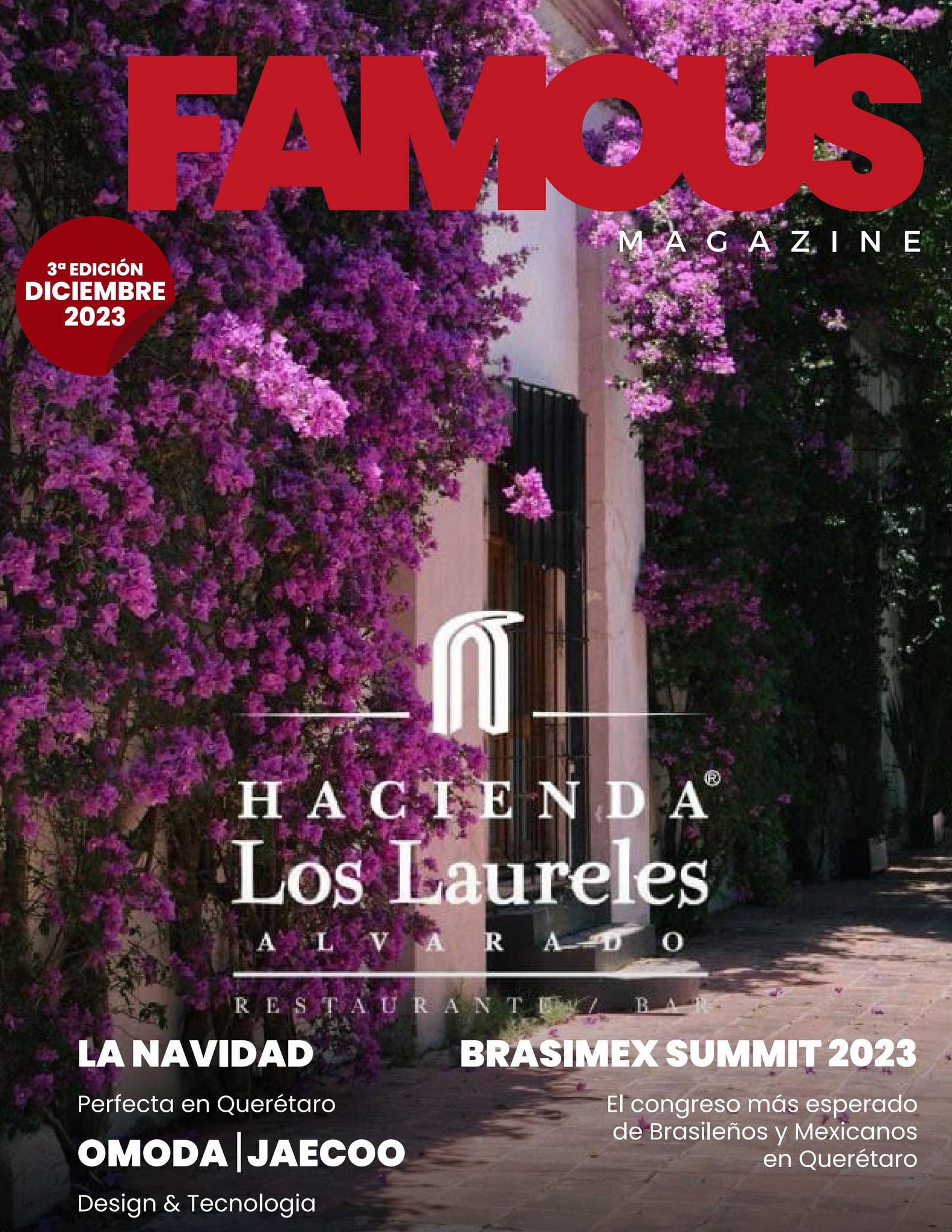 3ra Edicion Famous Magazine Diciembre 2023 by famousmagazinemx - Issuu