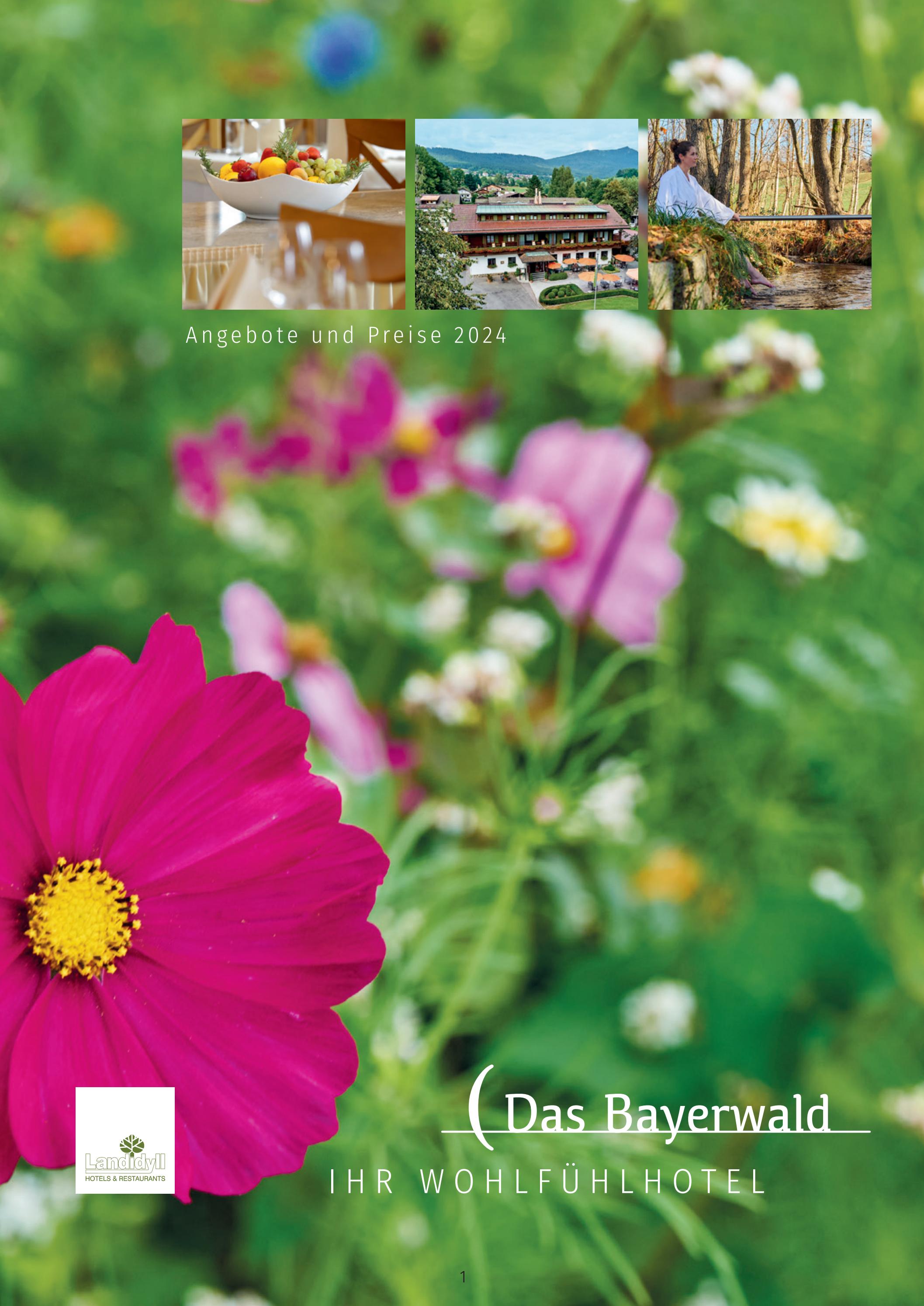 Das Bayerwald - Ihr Wohlfühlhotel in Lam by e-ventis GmbH - Issuu