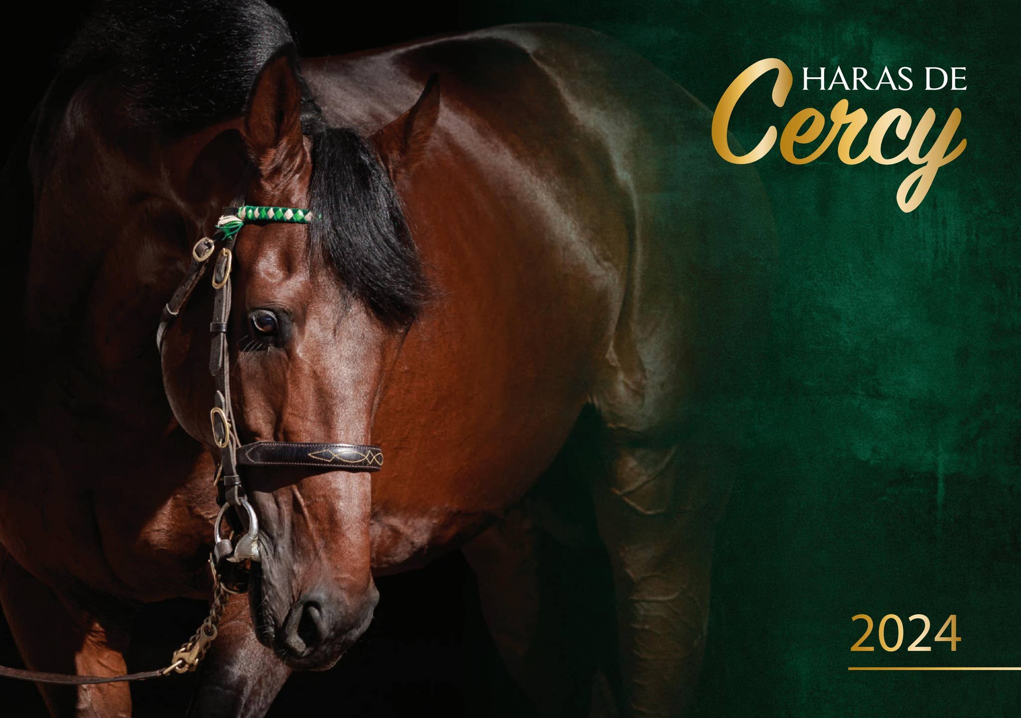 Brochure Cercy 2024 by Haras de Cercy - Issuu