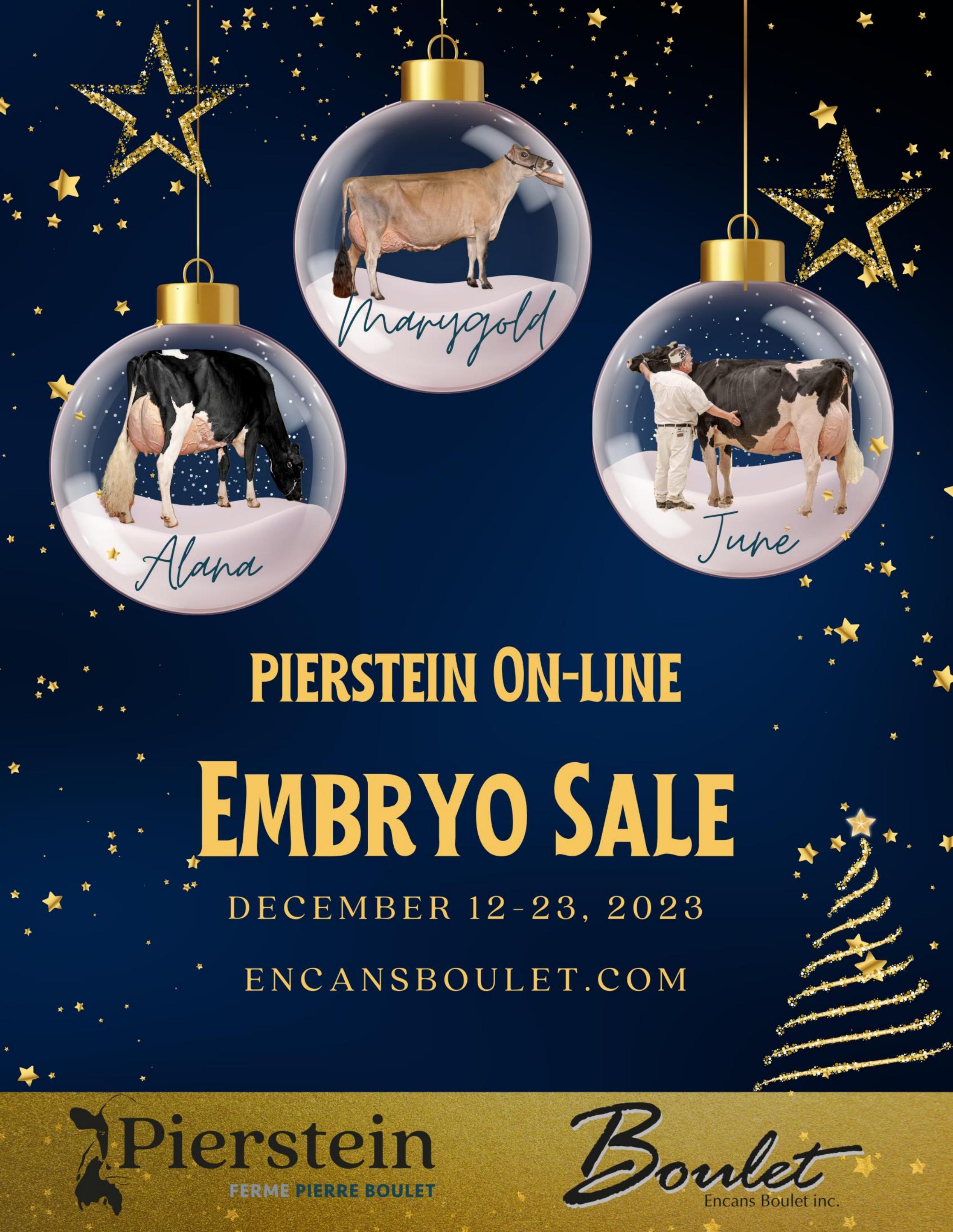 Pierstein Online Embryo Sale by Cowsmopolitan - Issuu