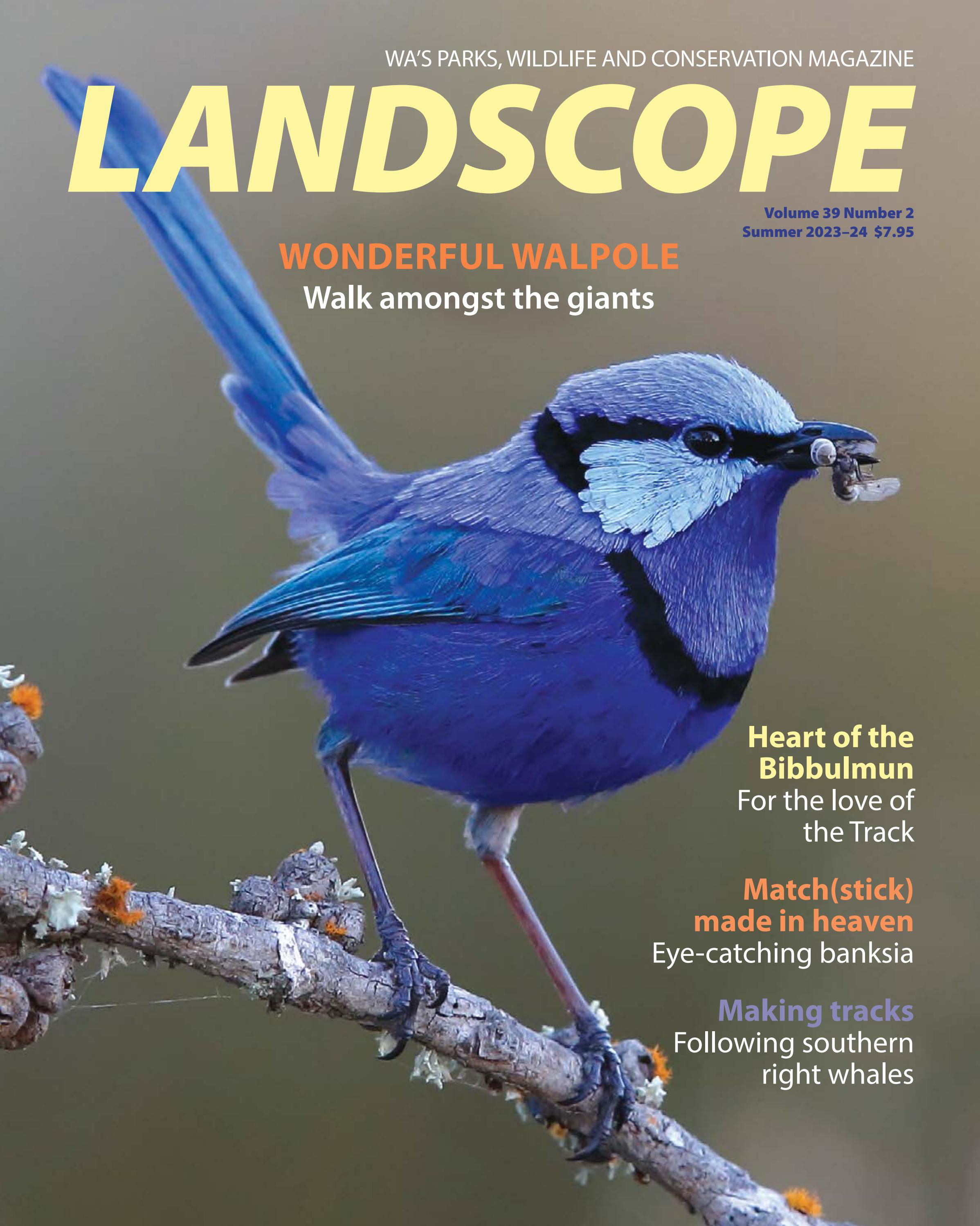 LANDSCOPE Summer 2023–24 - PREVIEW by WA Naturally - Issuu