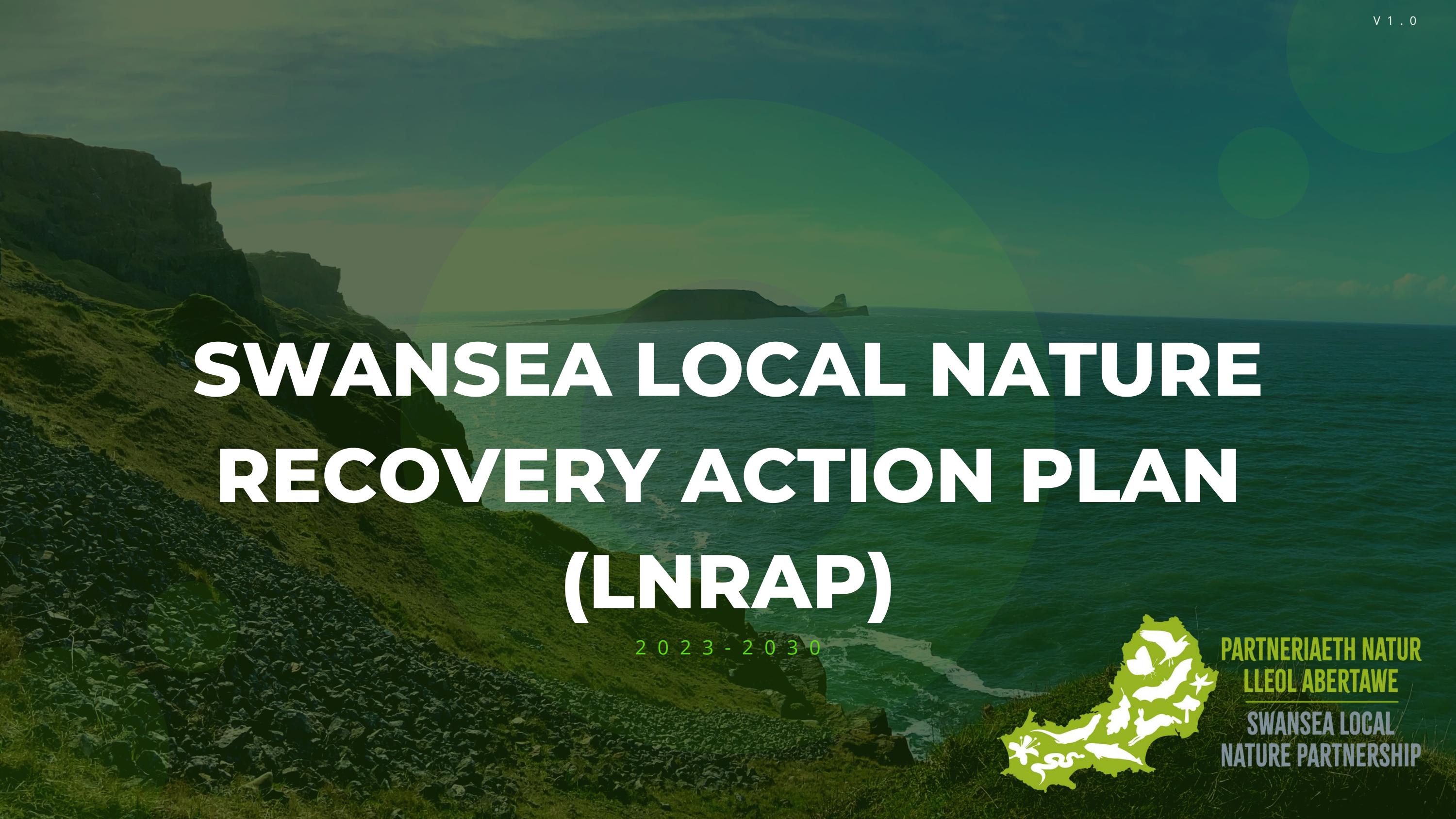Swansea Local Nature Recovery Action Plan (LNRAP) 2023-2030 by City and ...