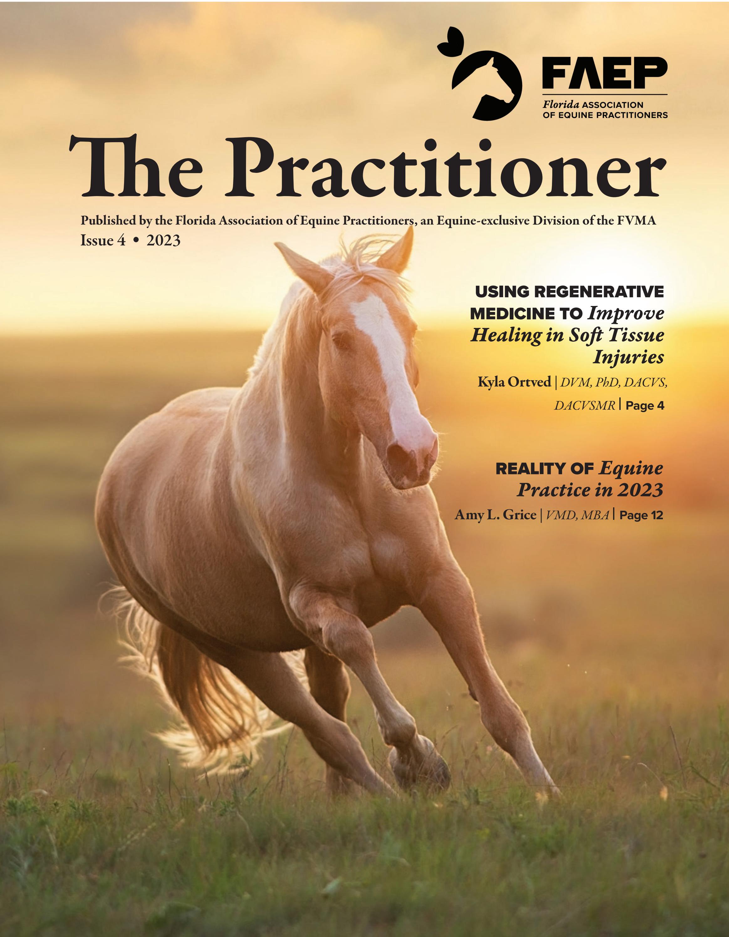 Practitioner Issue 4, 2023 by FVMA - Issuu