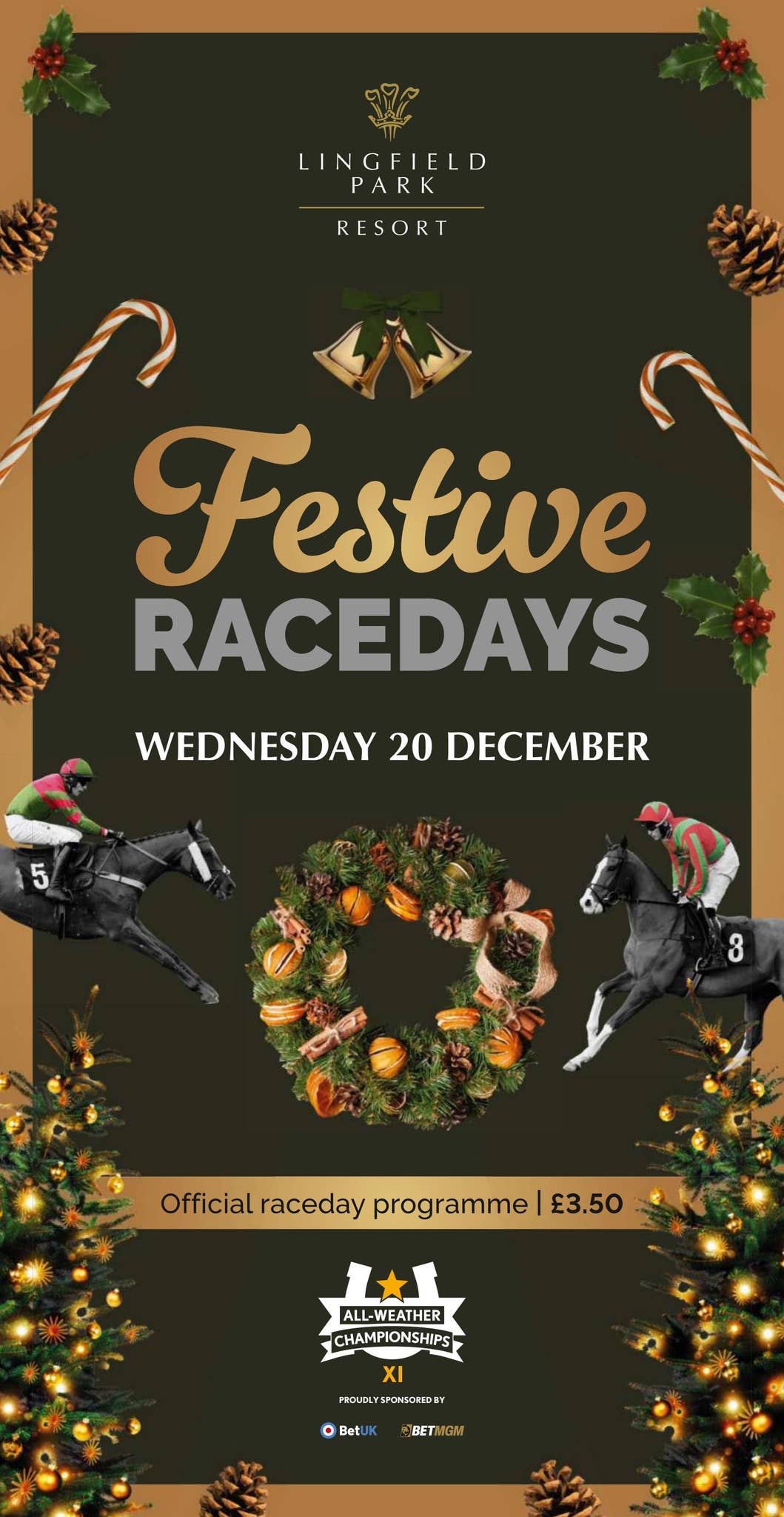 Lingfield Park Racecard - Wednesday 20th December by Arena Racing ...