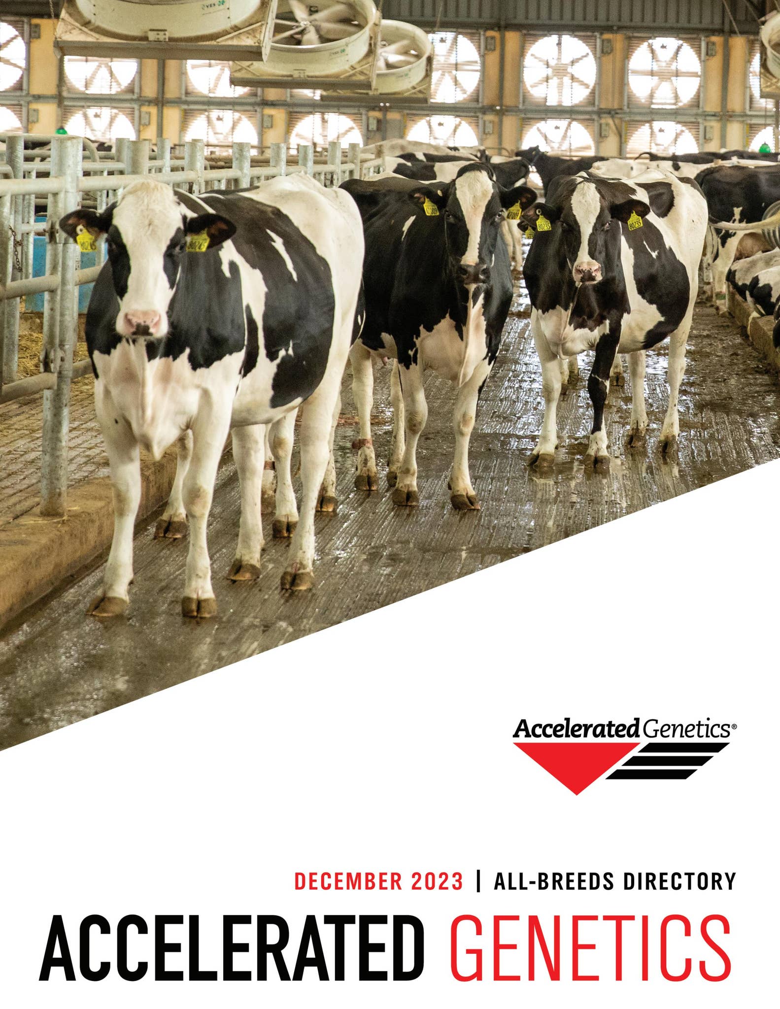 Accelerated Genetics All-Breeds Directory | December 2023 by Select ...