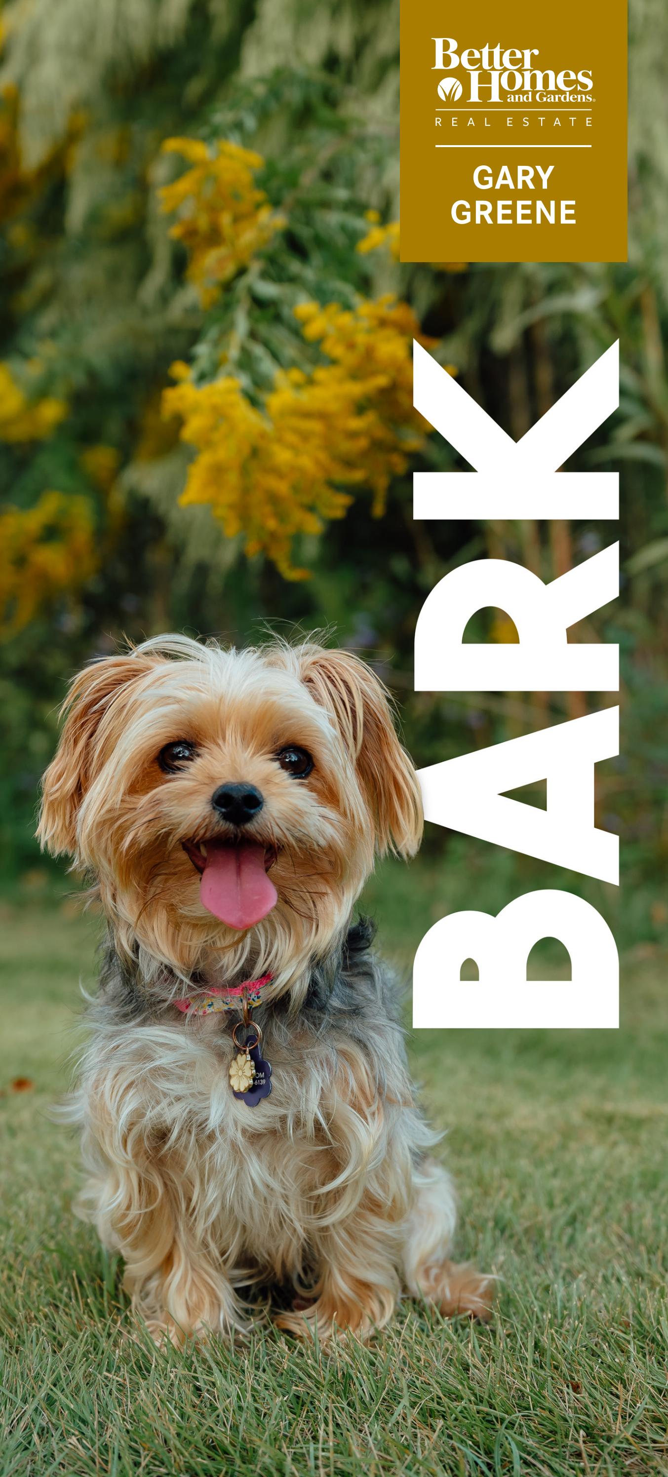 Out and About | February 2024 | Bark by Better Homes and Gardens Real ...