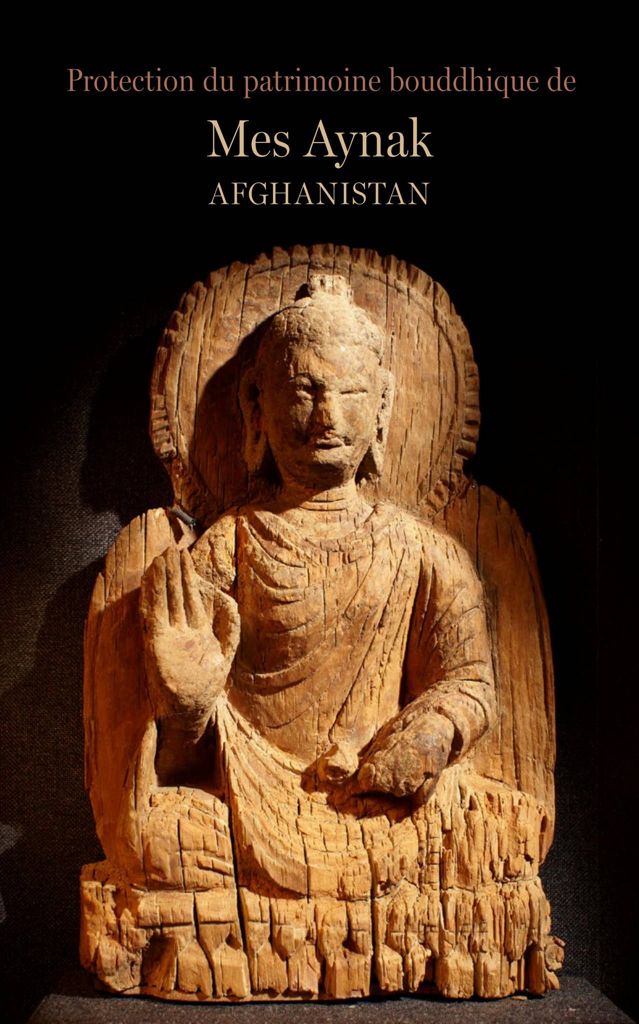 Mes Aynak brochure_French by ALIPH Foundation - Issuu