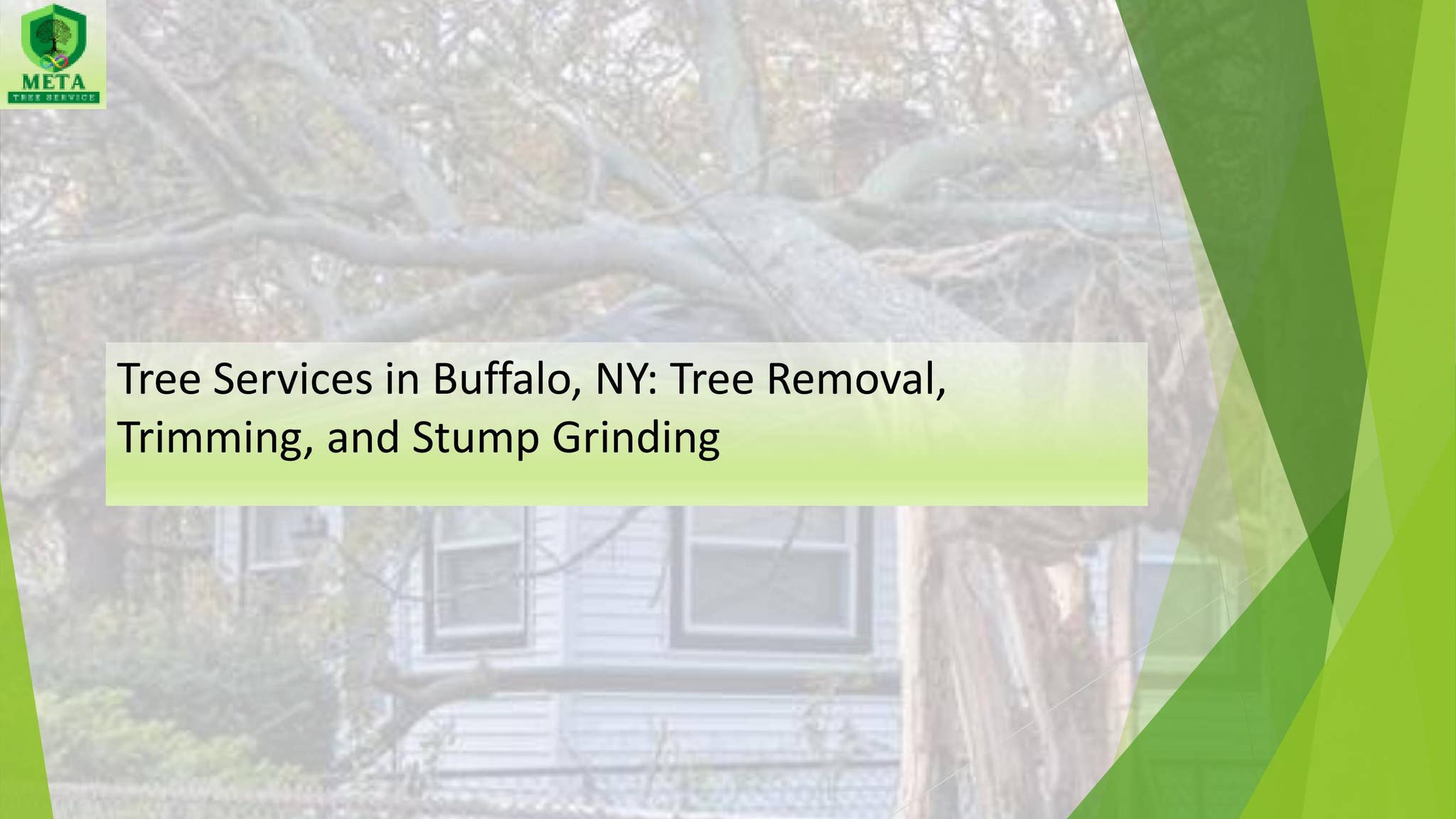 Tree Services in Buffalo, NY: Tree Removal, Trimming, and Stump ...