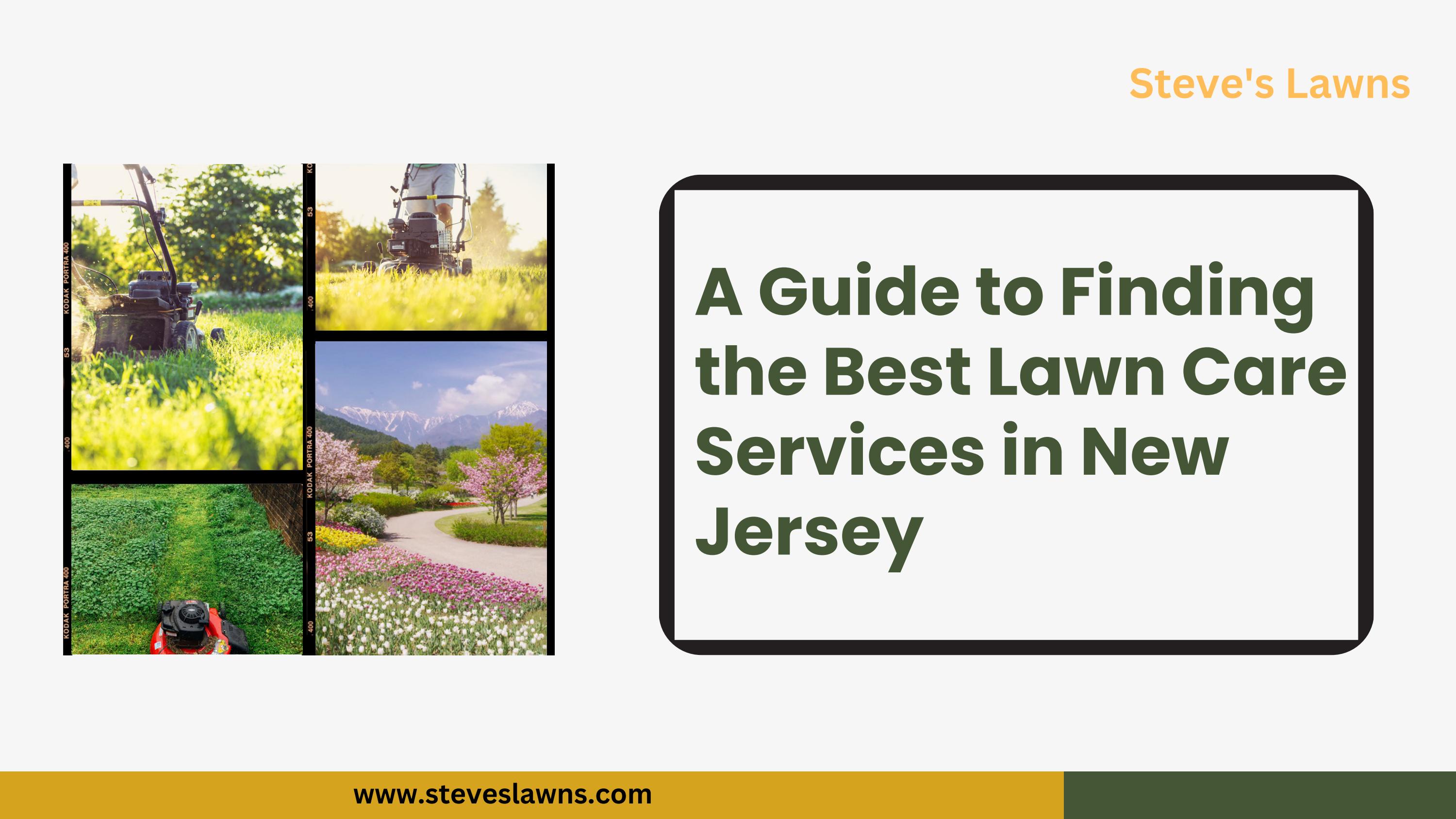 New Jersey's Finest: Your Ultimate Guide to Top-Tier Lawn Care Services ...