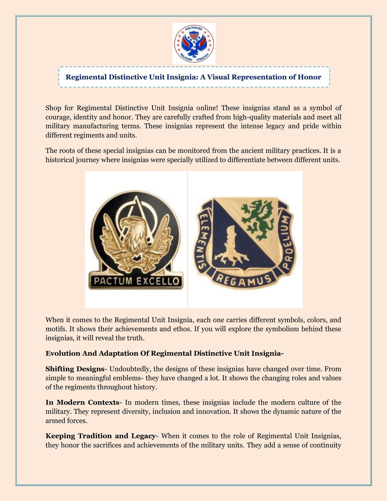 Regimental Distinctive Unit Insignia: A Visual Representation of Honor ...
