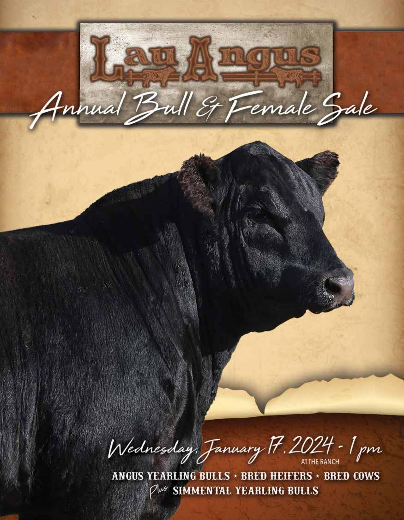 2024 Lau Angus - Bull & Female Sale by kelsey.steinkraus - Issuu