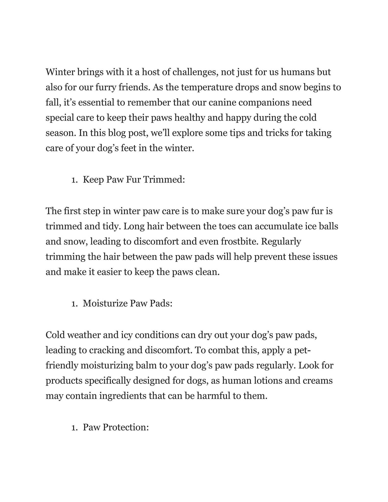 Winter Paw-sibilities by Shawn Romer - Issuu