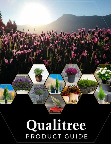 Qualitree Product Guide (v1.3) by qualitree - Issuu