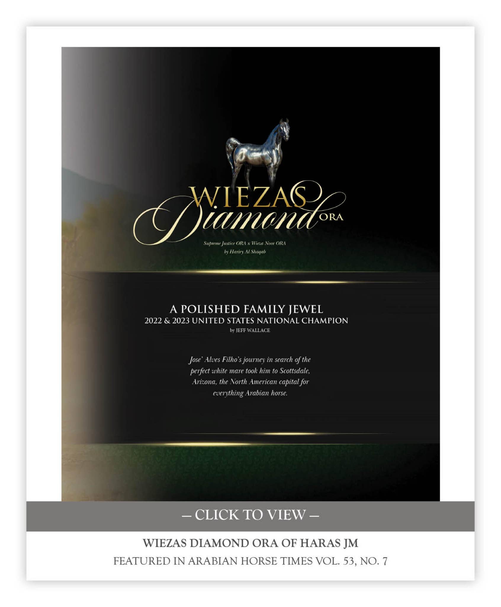 AHT Vol. 53, No.7 - Haras JM by Arabian Horse Times - Issuu