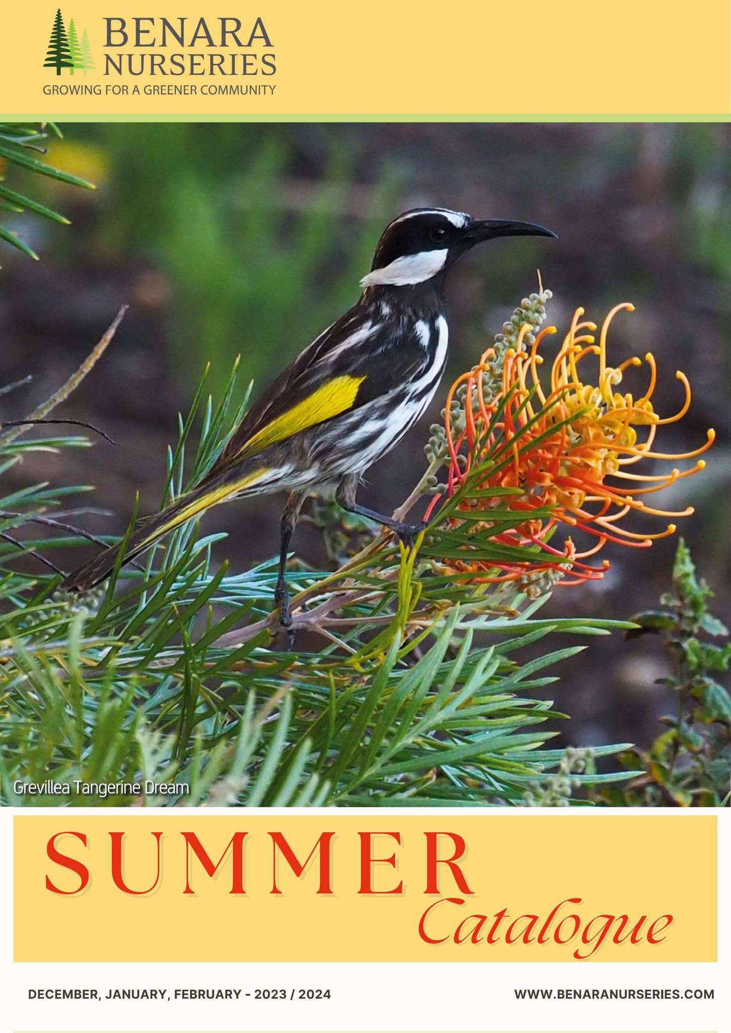 Benara Nurseries Summer Catalogue 2023/2024 by benara.com.au - Issuu
