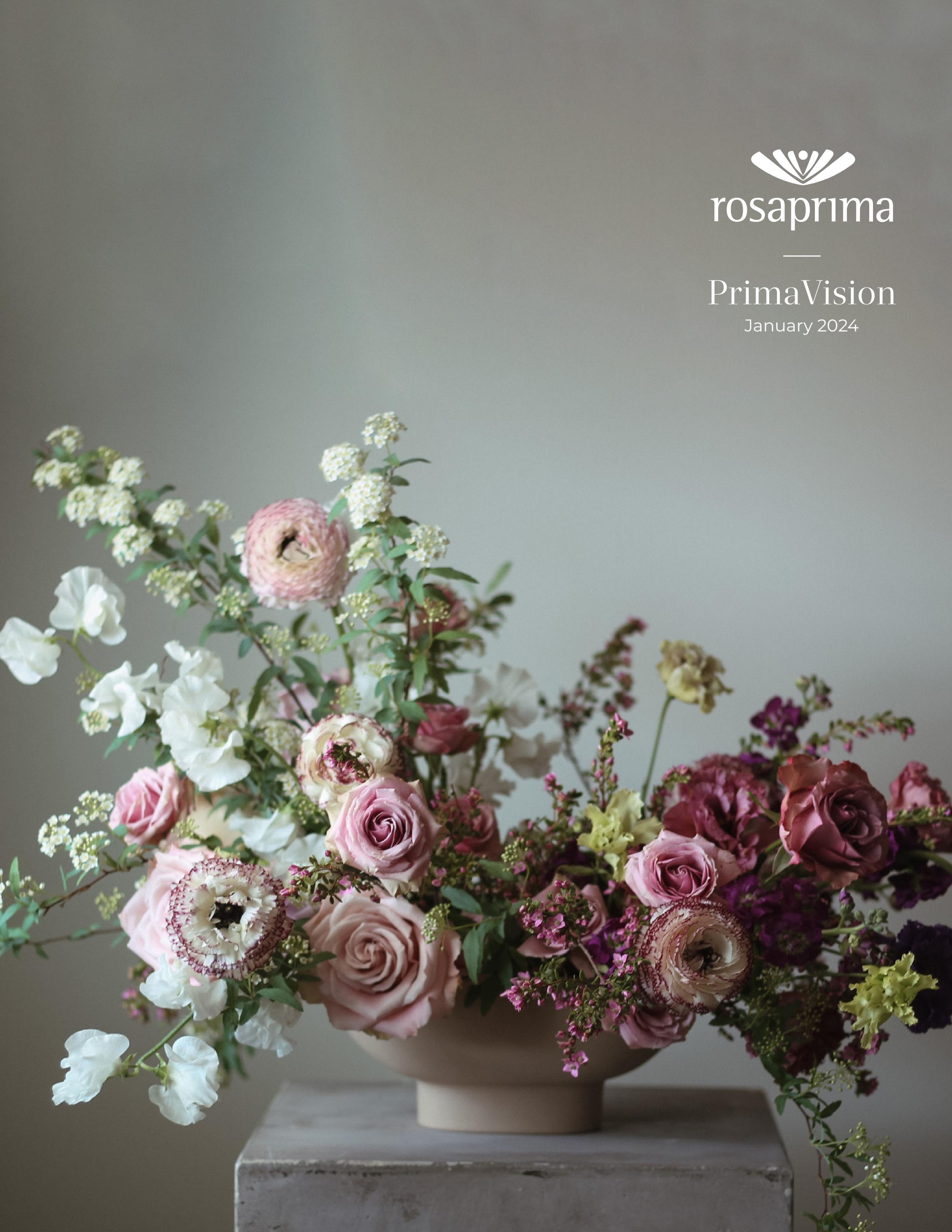 PrimaVision Q4 - 2023 by Rosaprimamkt - Issuu