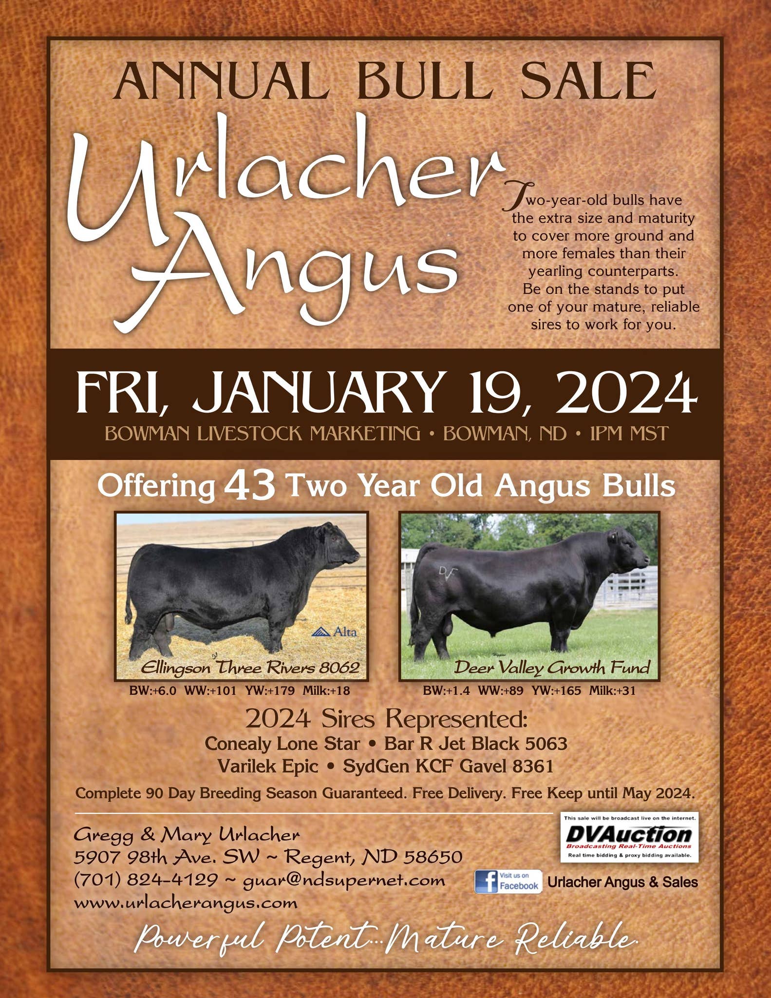 Urlacher Angus Annual Bull Sale by Tri-State Livestock News - Farmer ...