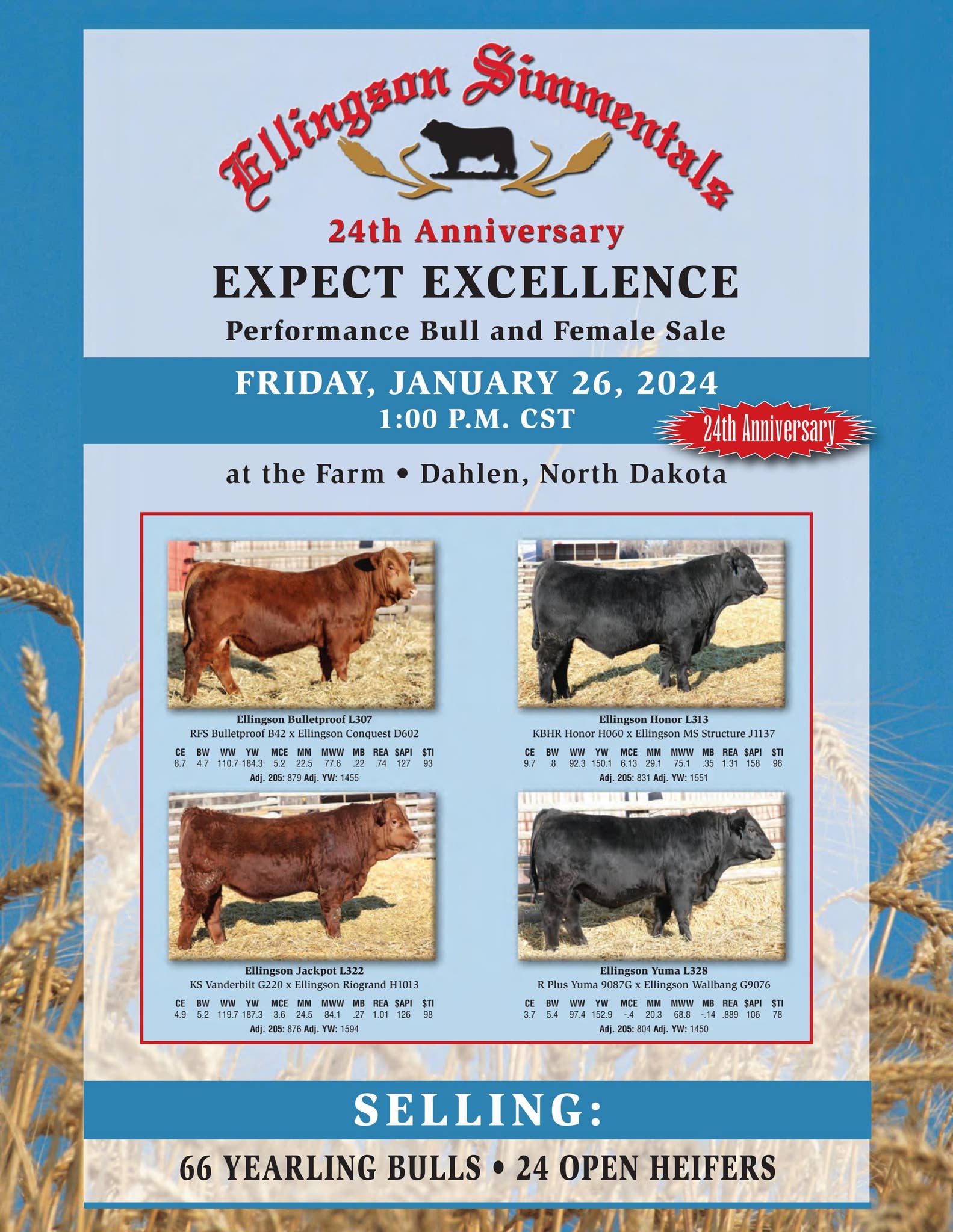 Ellingson Simmentals - 2024 Bull Sale Catalog by LivestockDirect - Issuu