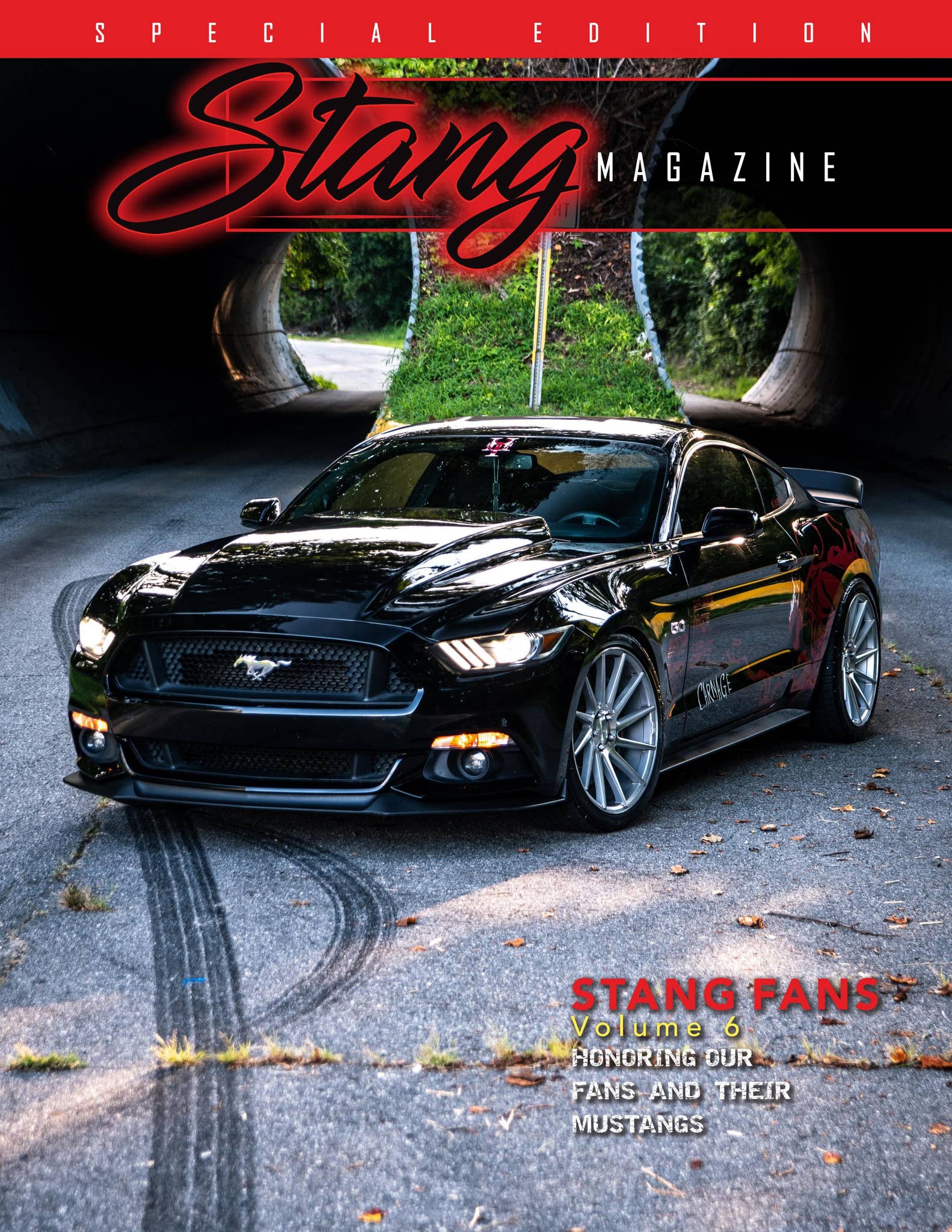 STANG Magazine Special Edition: STANG Fans Volume 6 by STANG Magazine ...