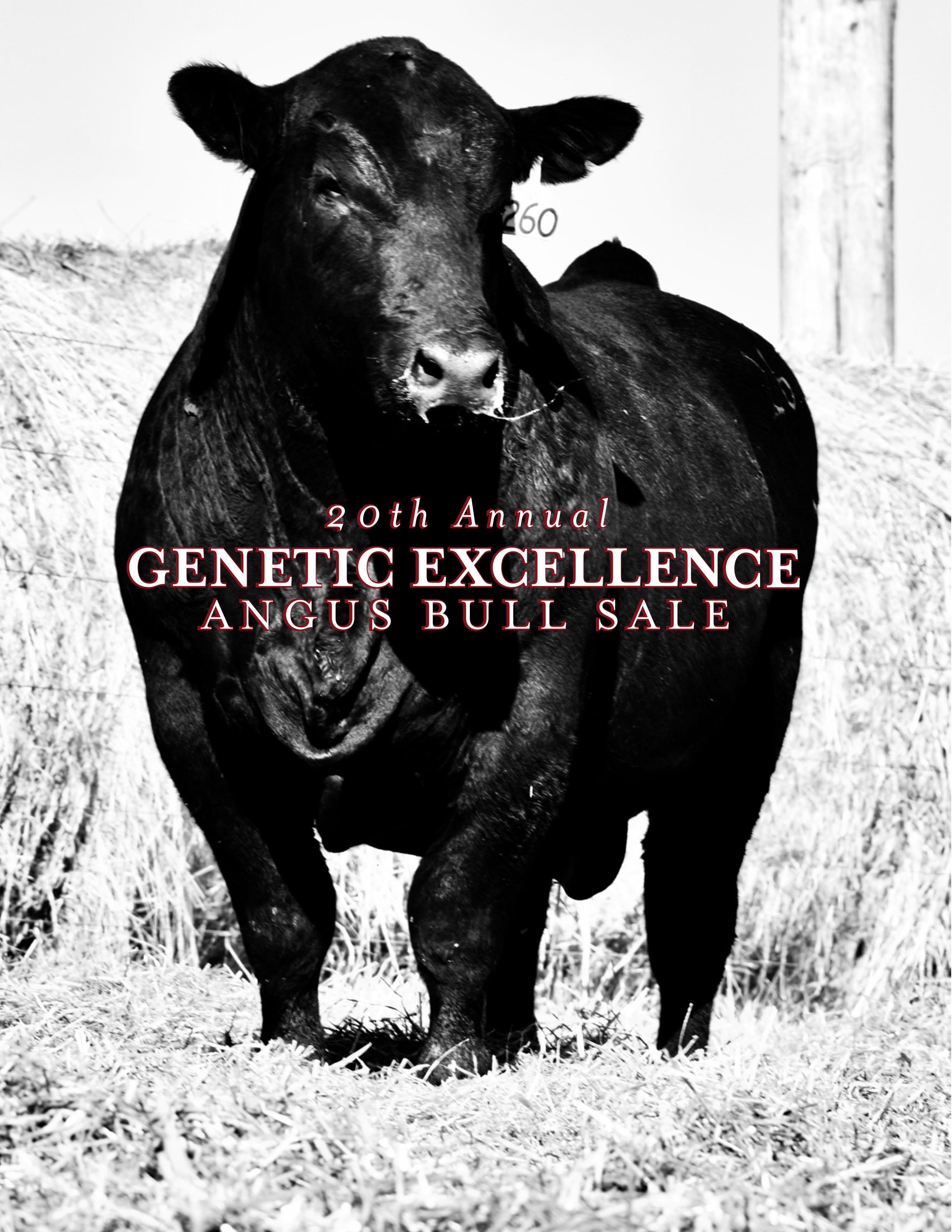 20th Annual Genetic Excellence Angus Bull Sale by LivestockDirect - Issuu
