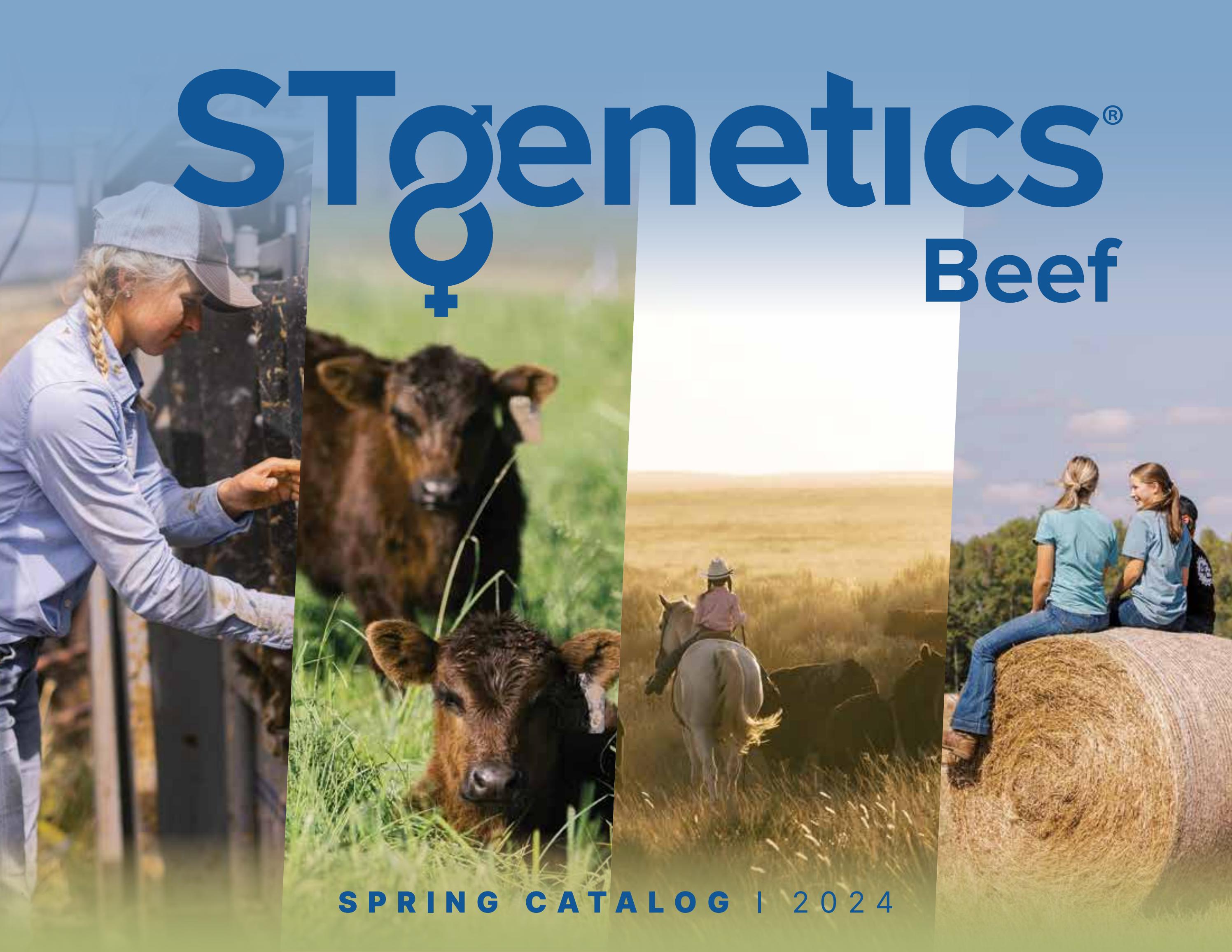 STgenetics® Beef 2024 Spring Catalog by STgeneticsBeef - Issuu